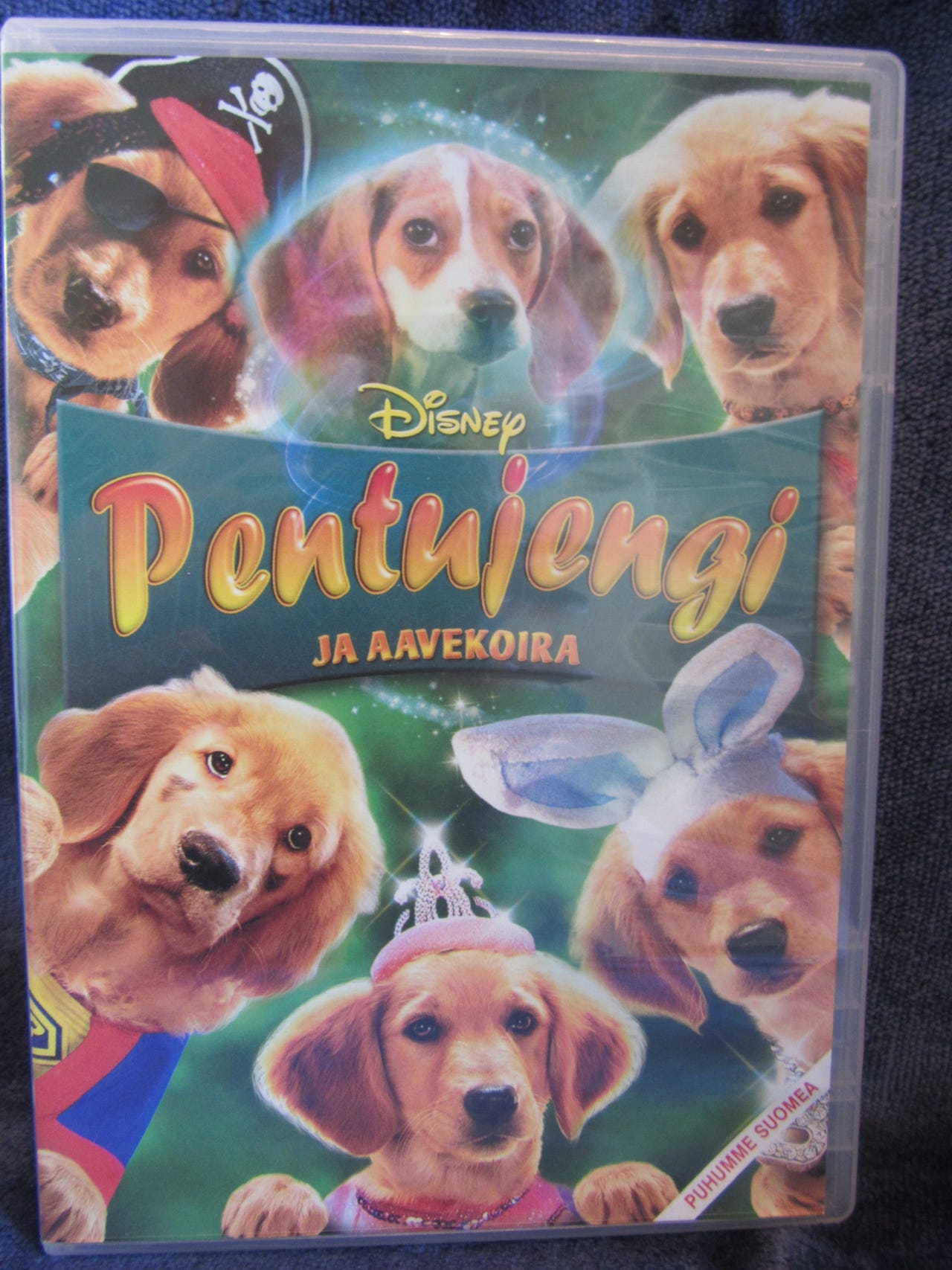 Pentujengi ja aavekoira | Tori