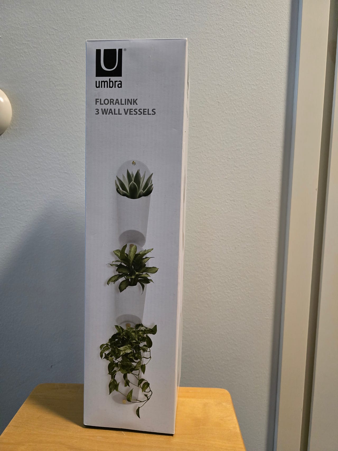 Umbra floralink wall vessel | Tori