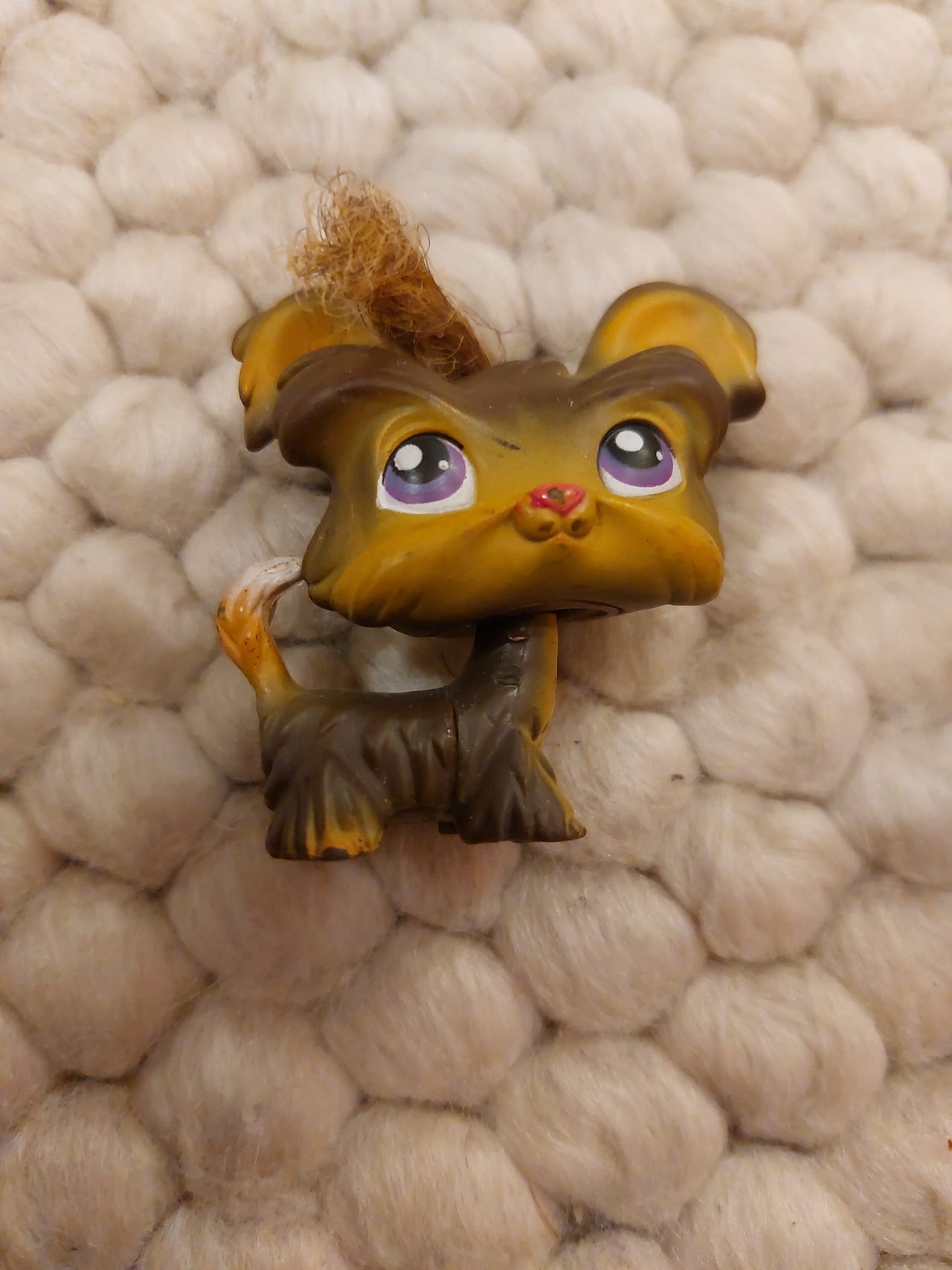 Littlest apetshop Yorkshire koira | Tori