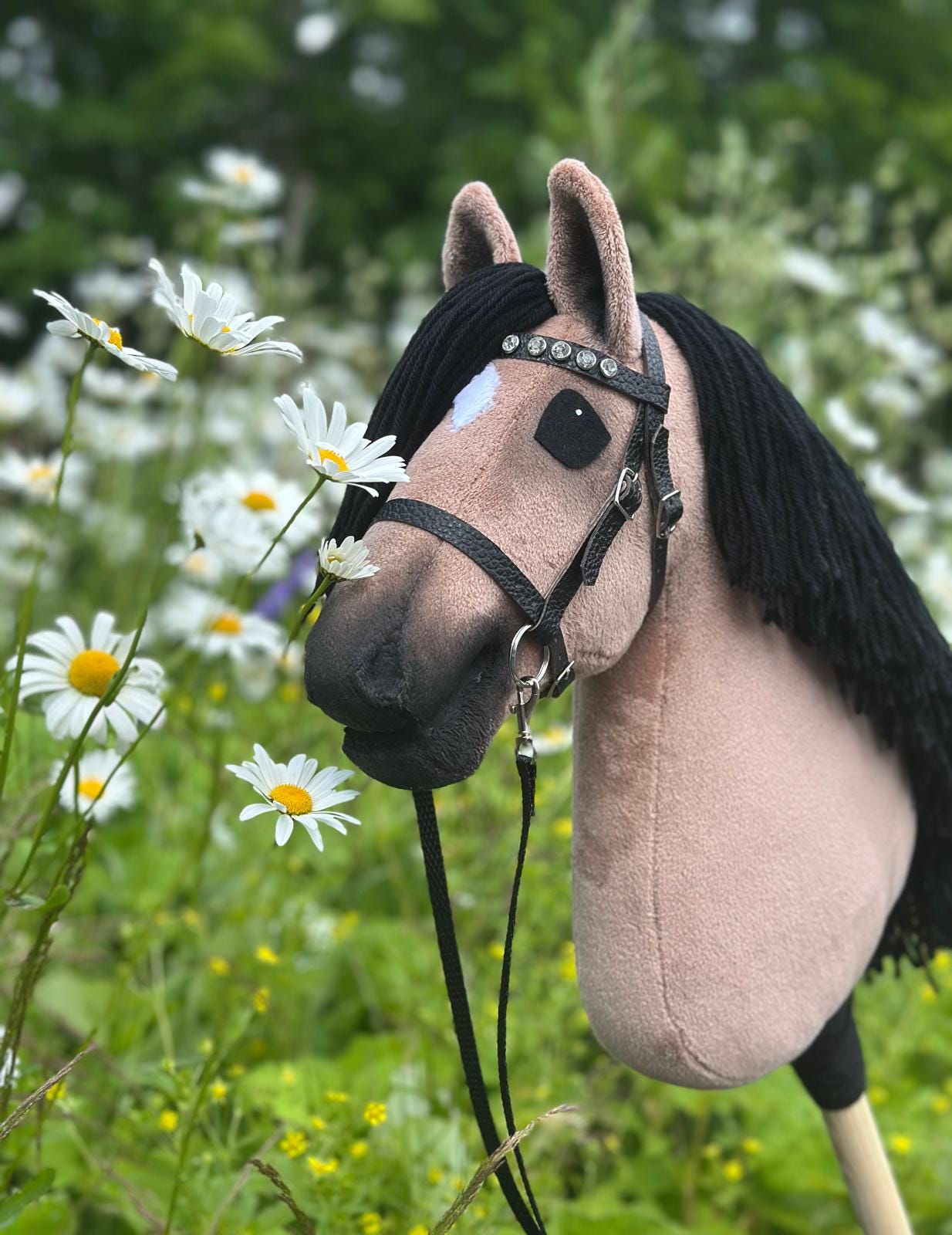 Keppihevonen keppari | Tori