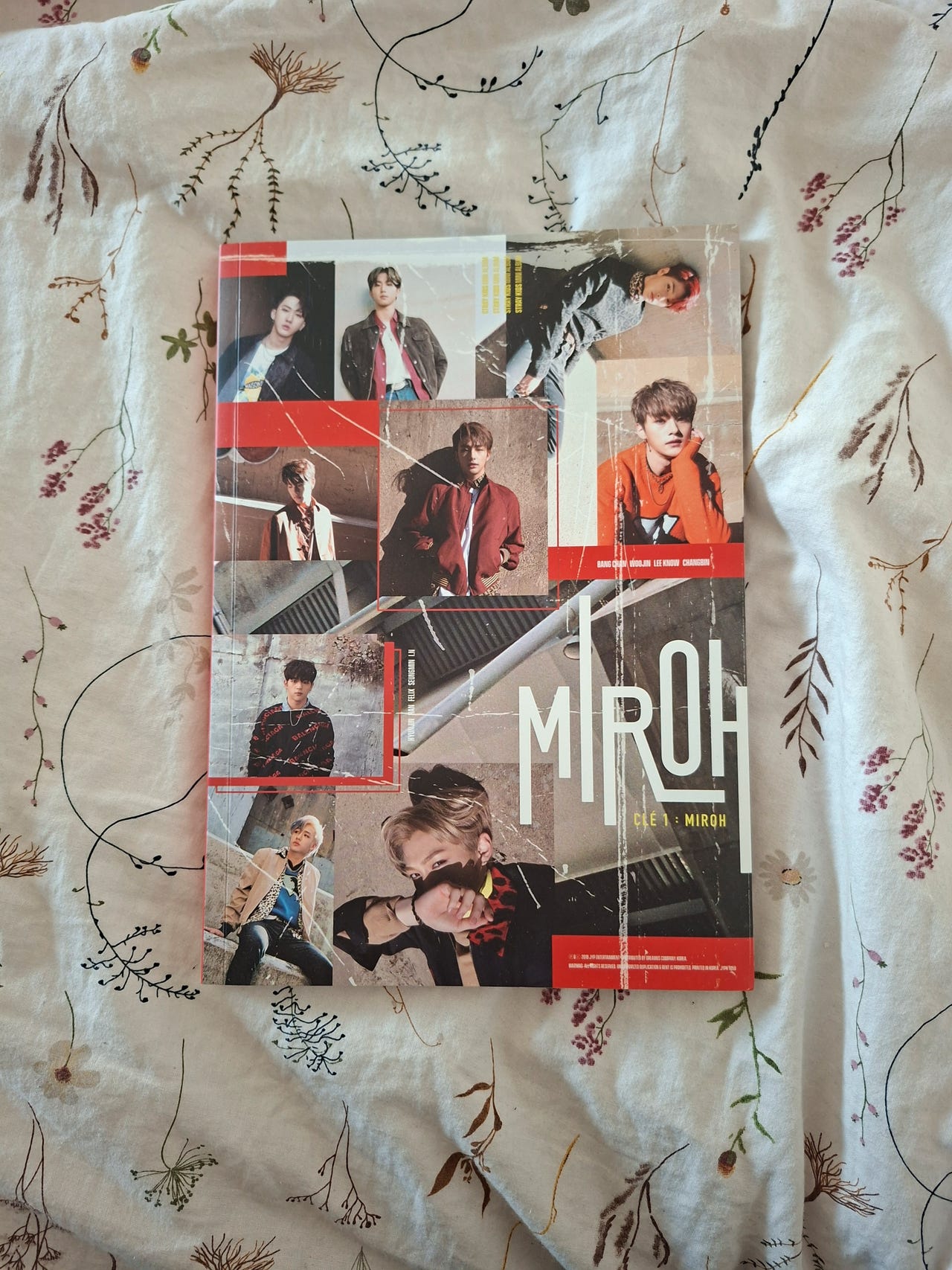 Stray Kids Miroh | Tori
