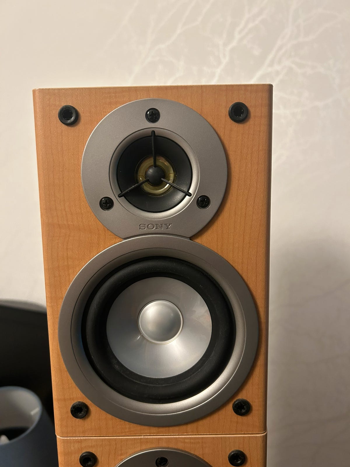 Sony SS-CM100 | Tori