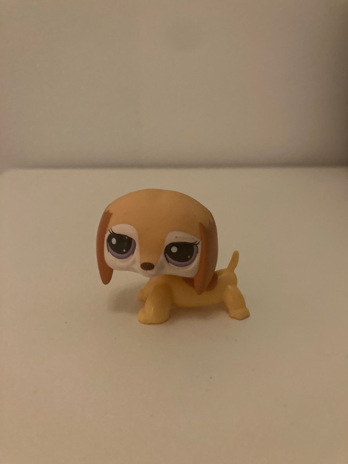 LPS, seisova koira 38991 | Tori