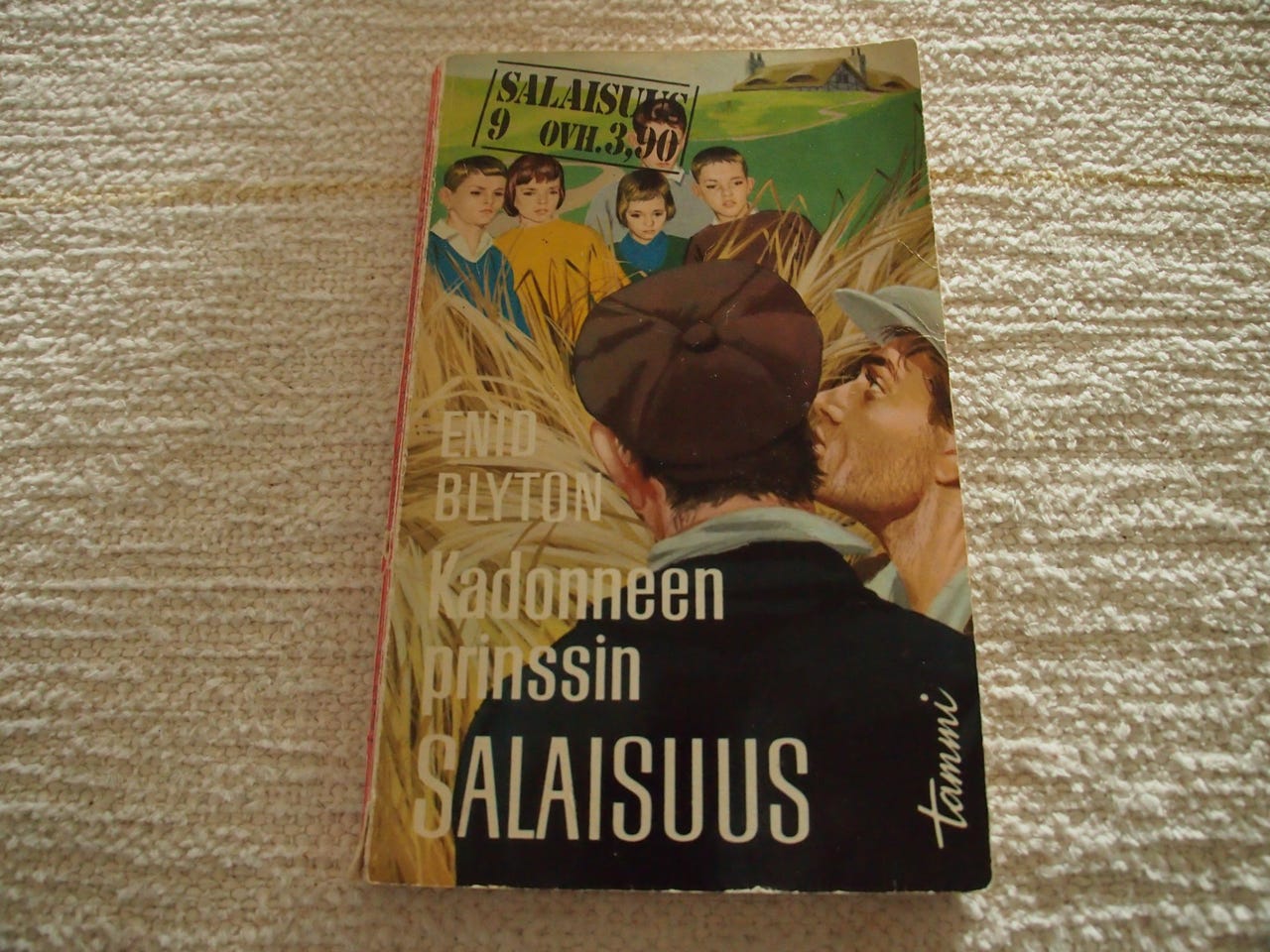 nuorten kirja/kadonneen prinssin salaisuus | Tori