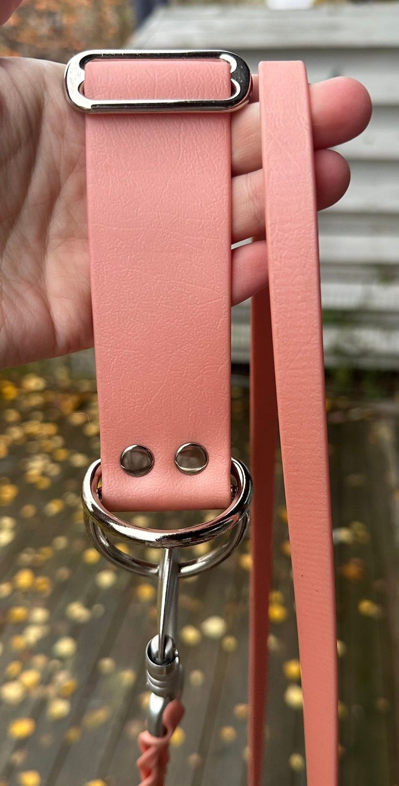 Biothane hihna ja panta | Tori