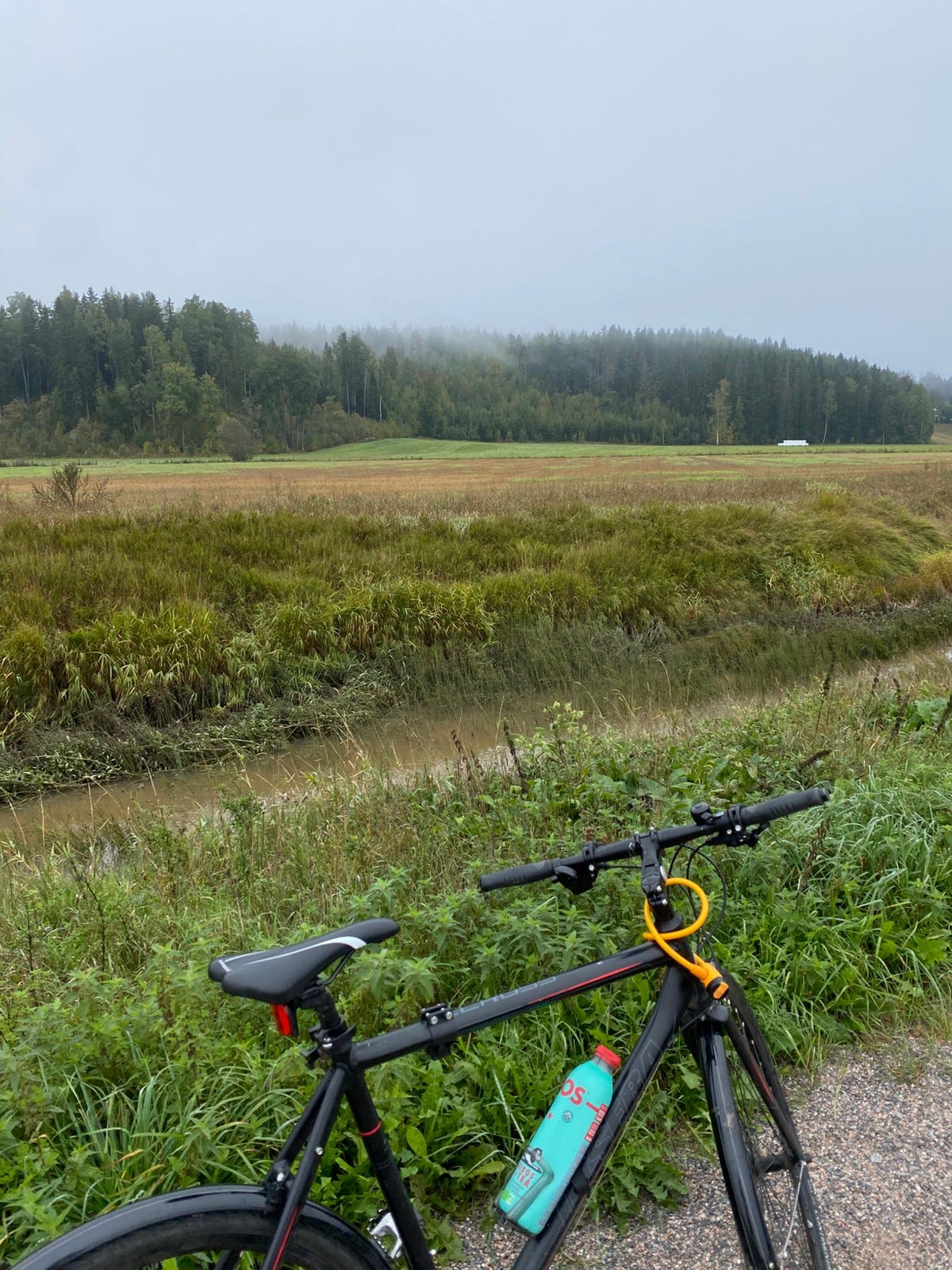 Insera Xcross hybrid bike | Tori