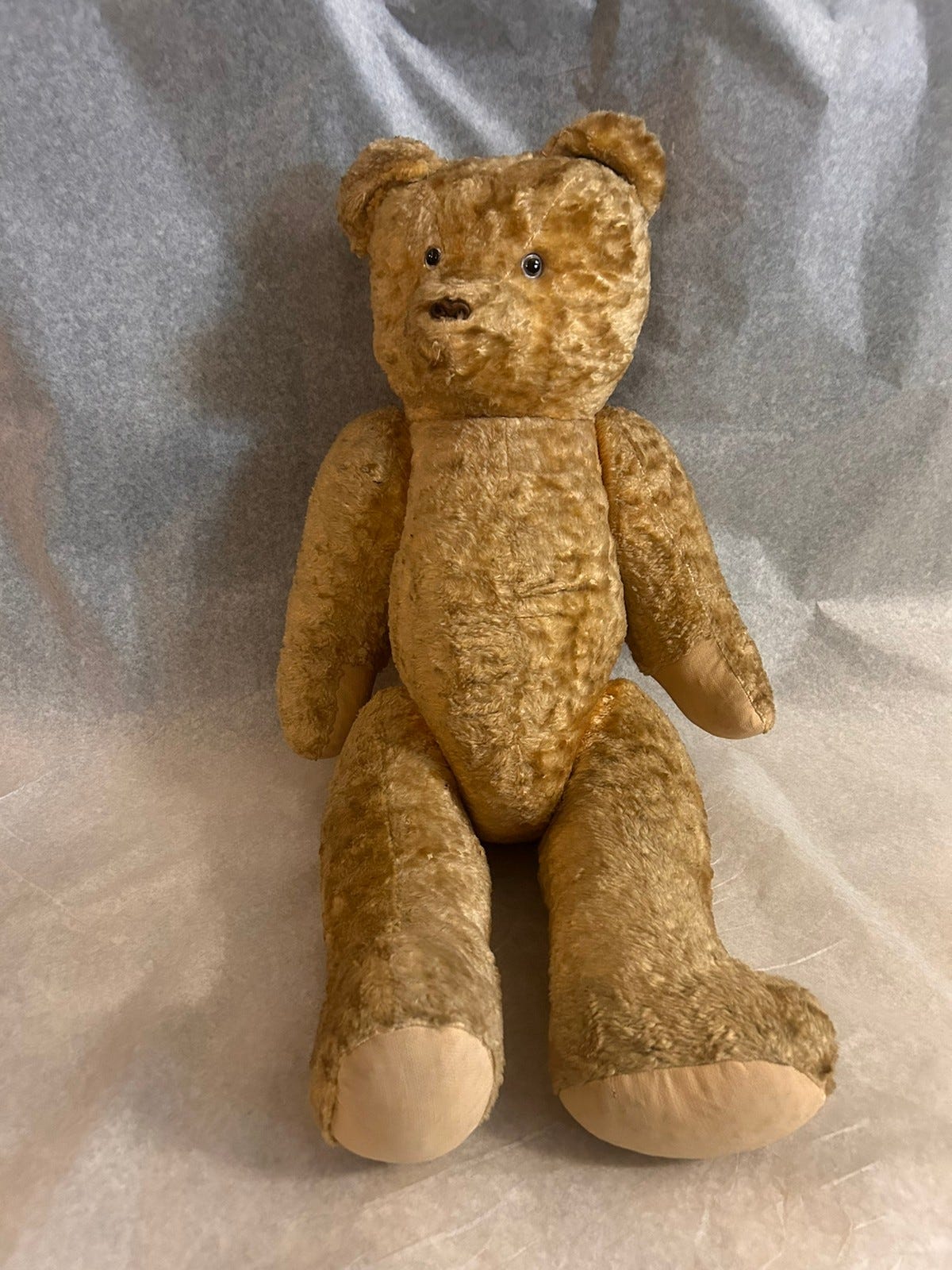 Vanha iso Nalle | Tori