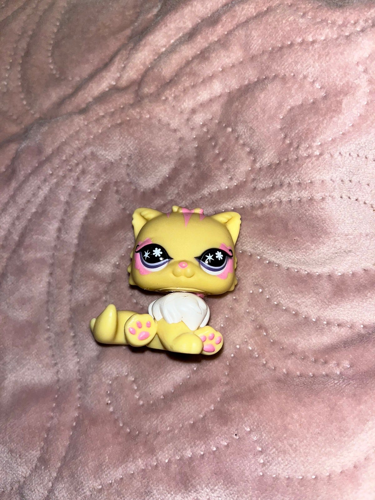 Lps kissa | Tori