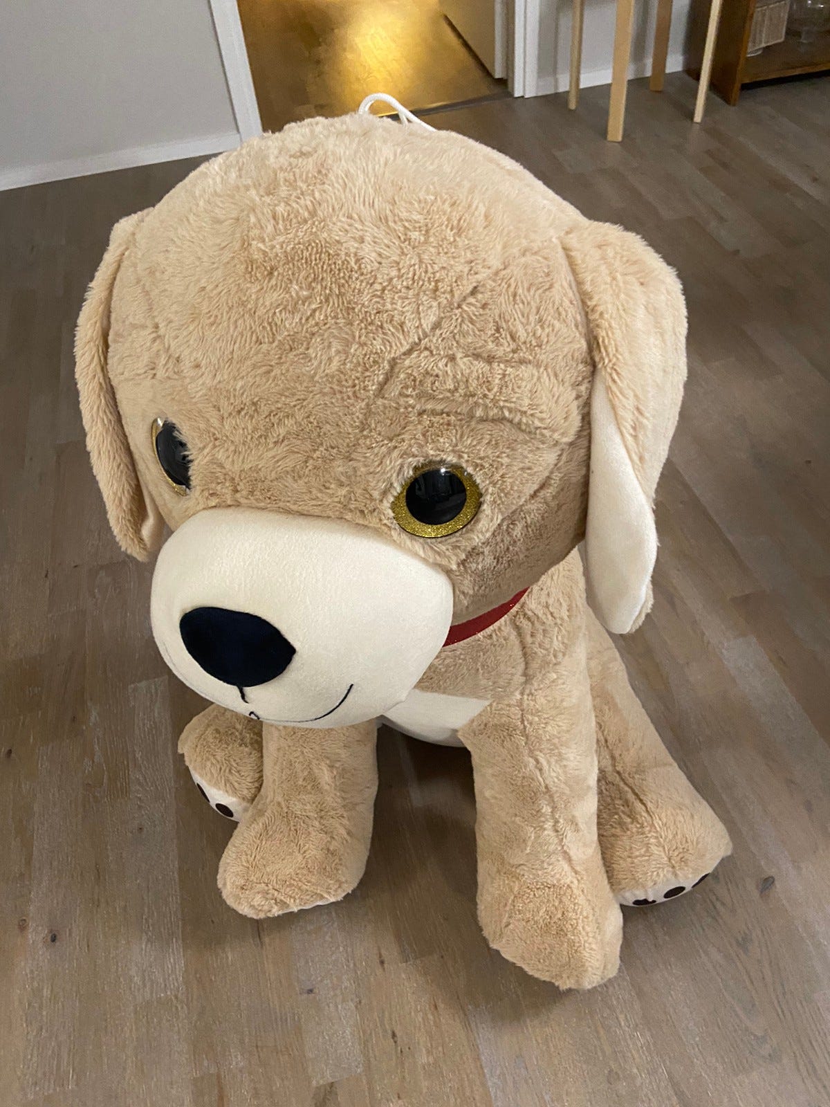 ISO halittava koira | Tori