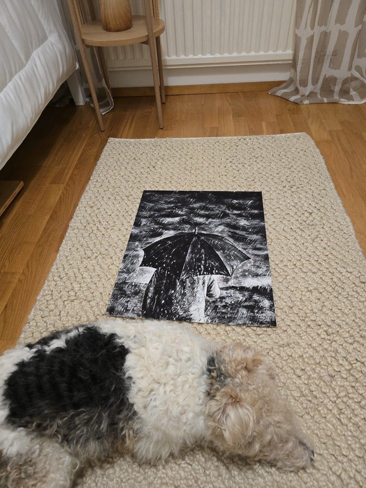 Juliste 40x50cm | Tori