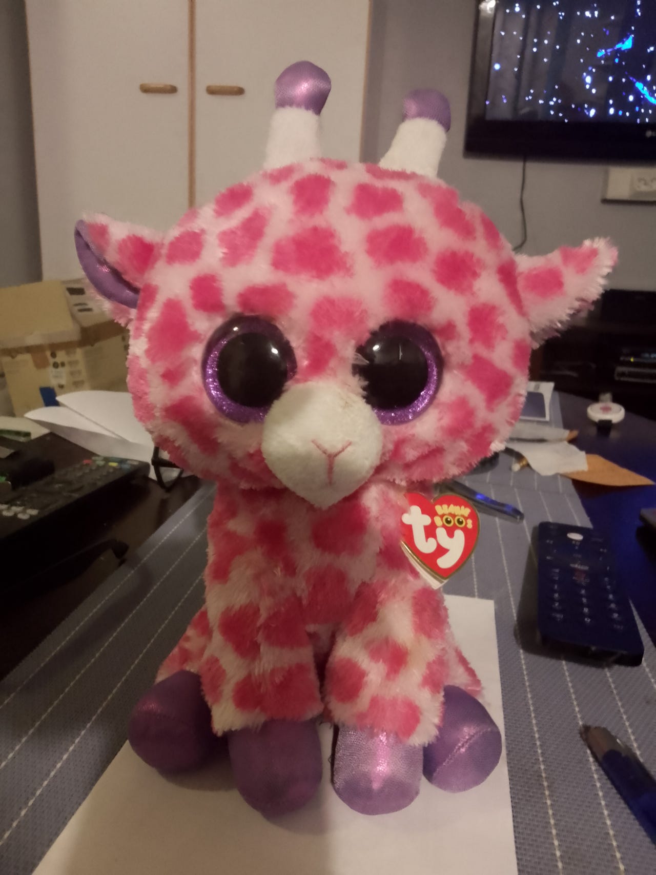 TY Beanie Boo's harvinainen pehmolelu uusi 10 vuotta koriste esineenä ...