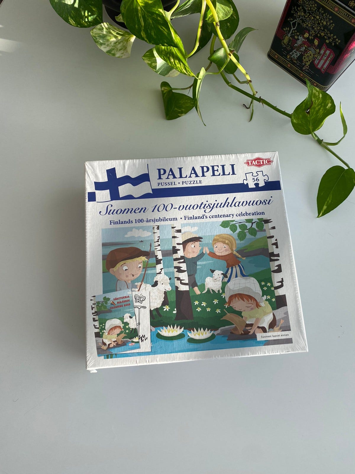 Palapeli | Tori