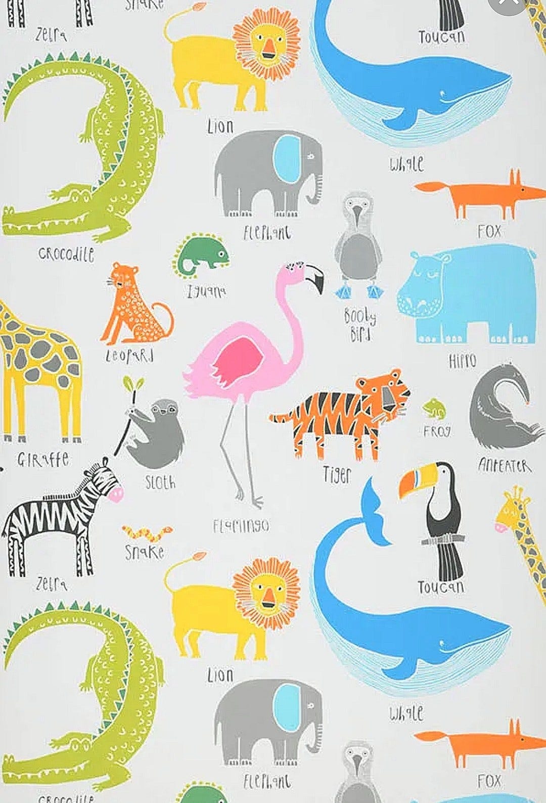 Scion guess who? Animal magic tapetti | Tori