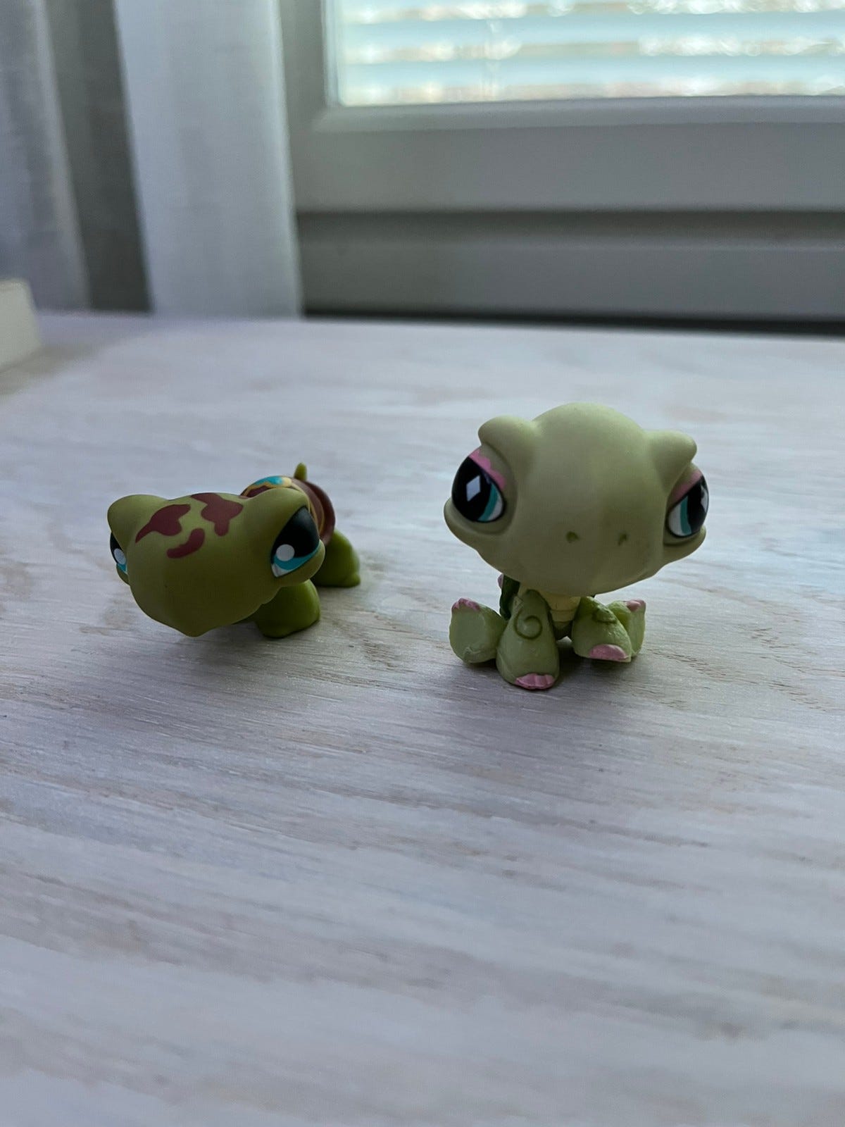 Lps kilpikonnat | Tori