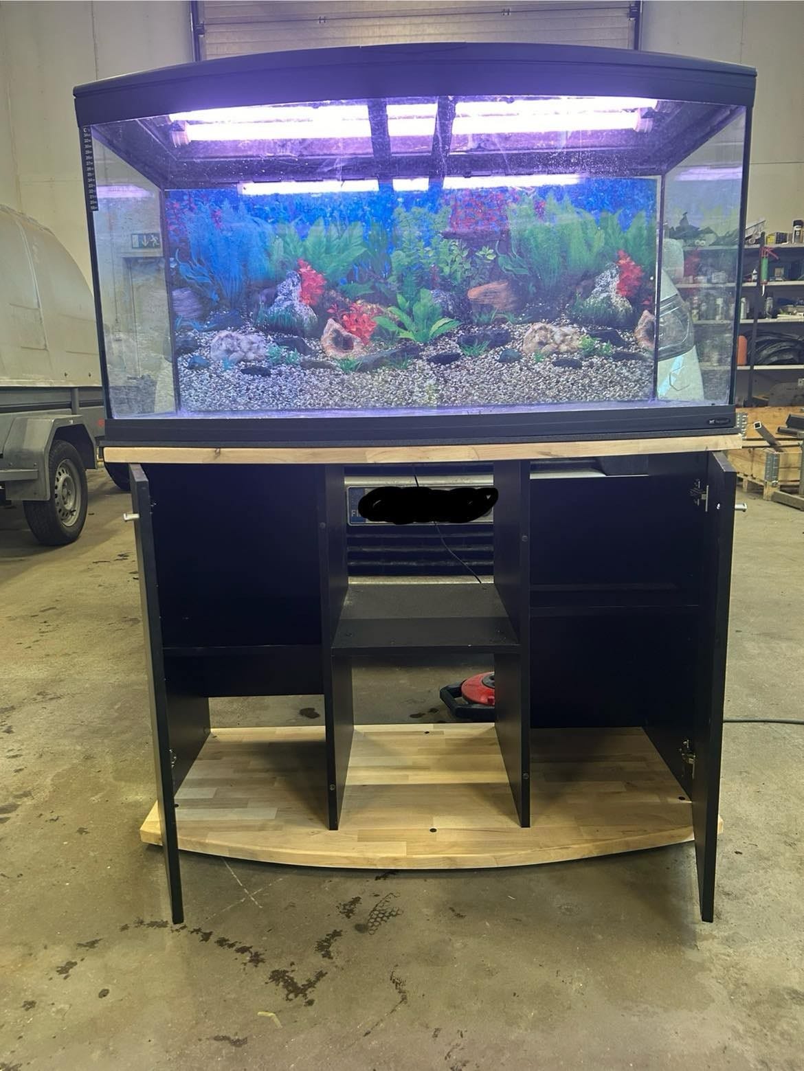 Akvaario / terraario | Tori