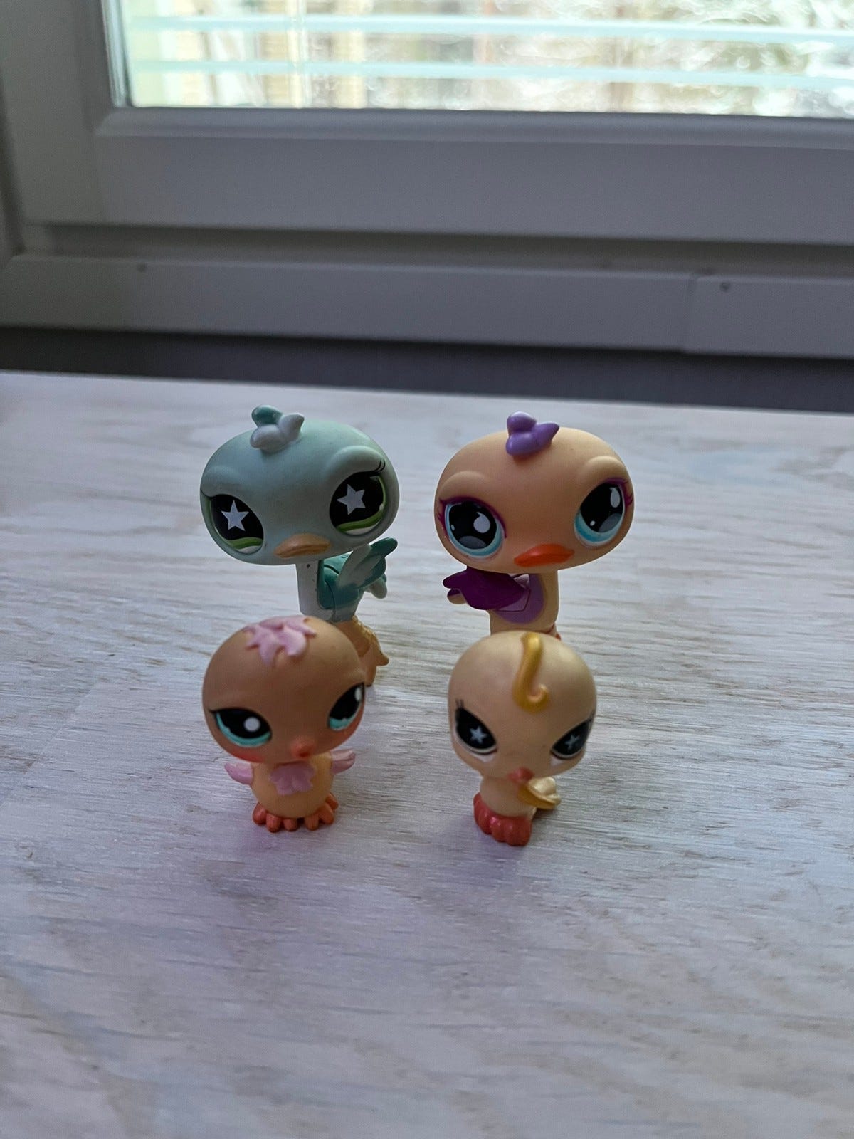 Lps strutsit ja linnut | Tori