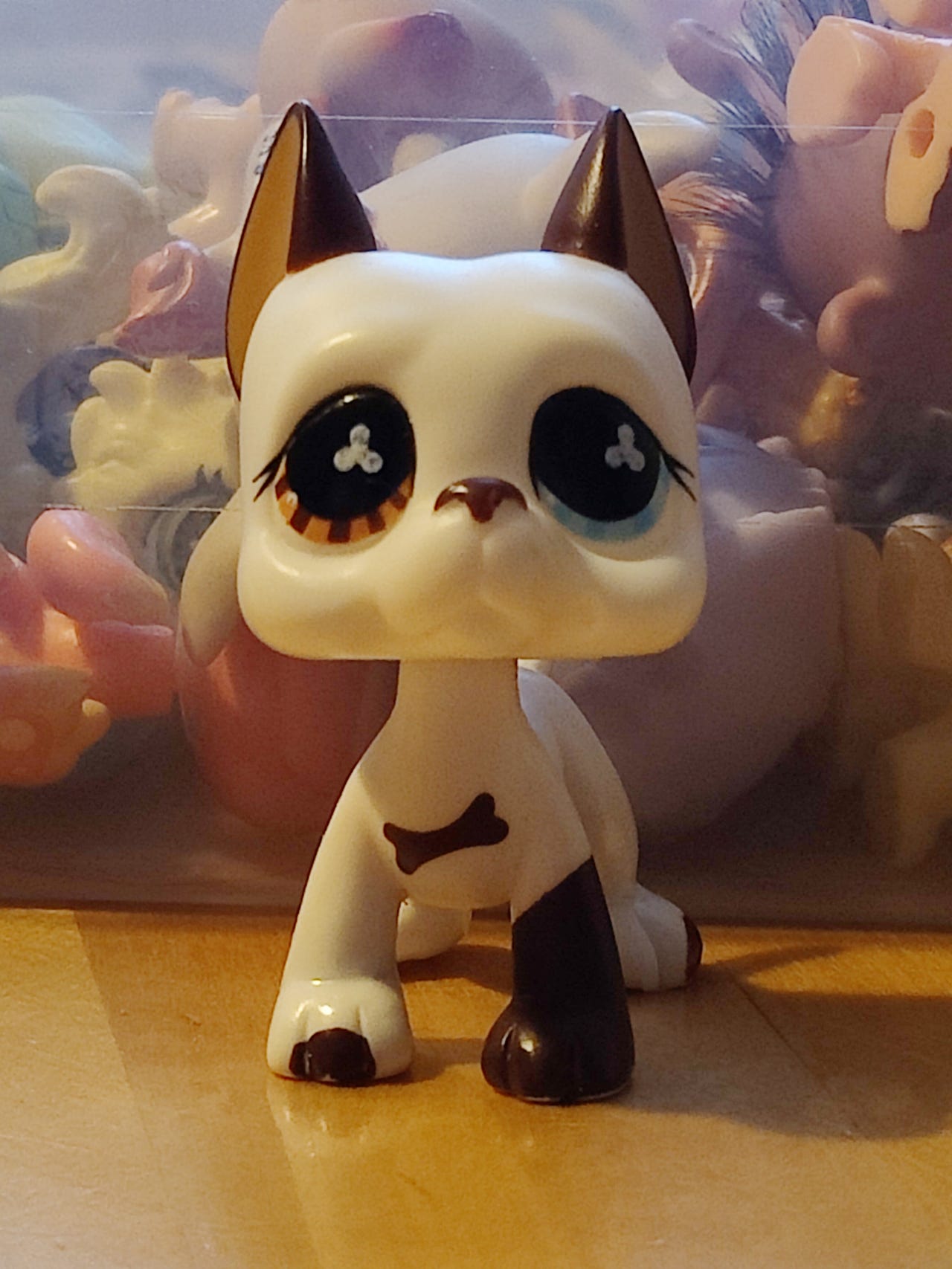 Lps tanskandoggi | Tori