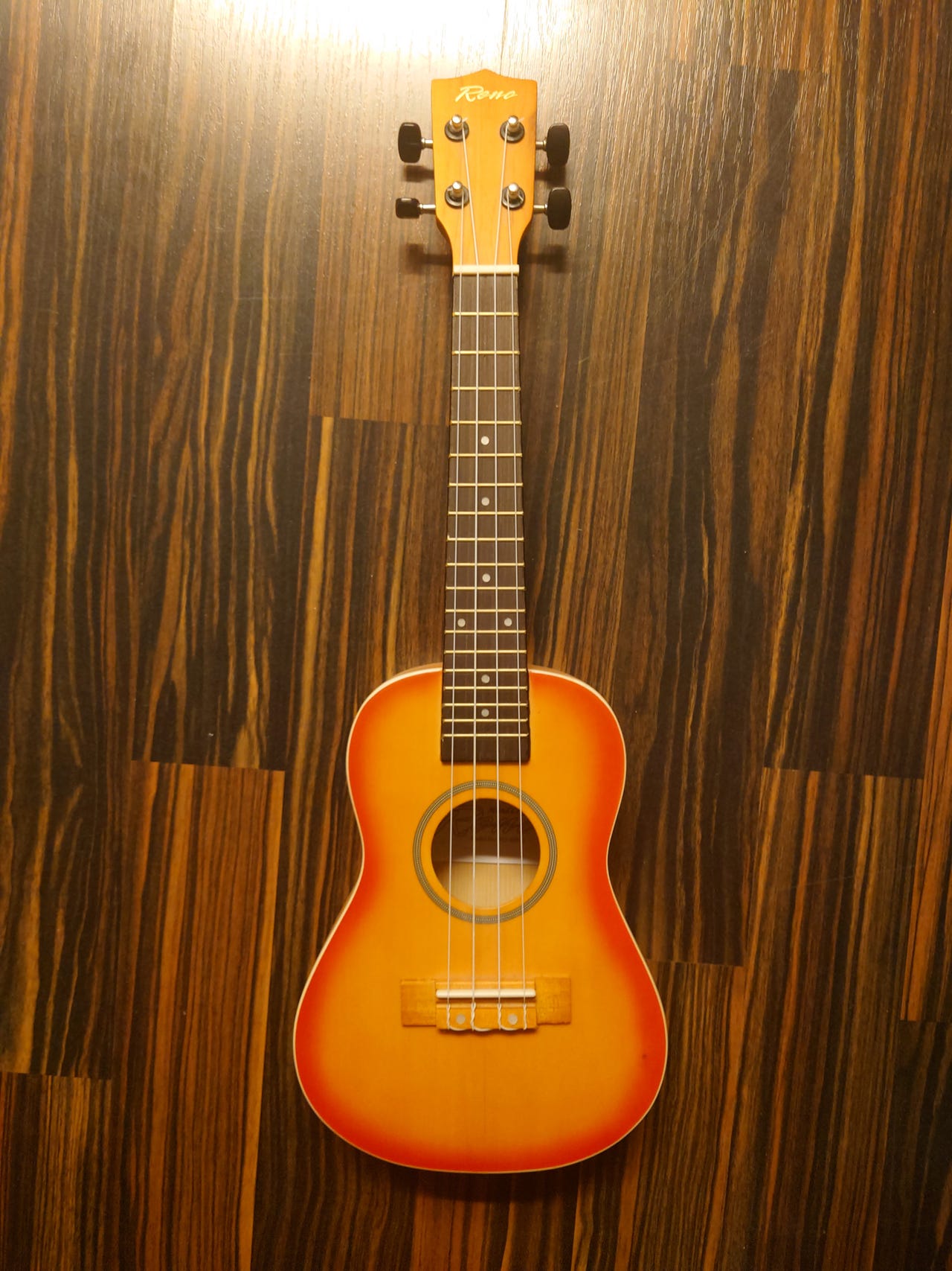 Reno RU-300CS | Tori