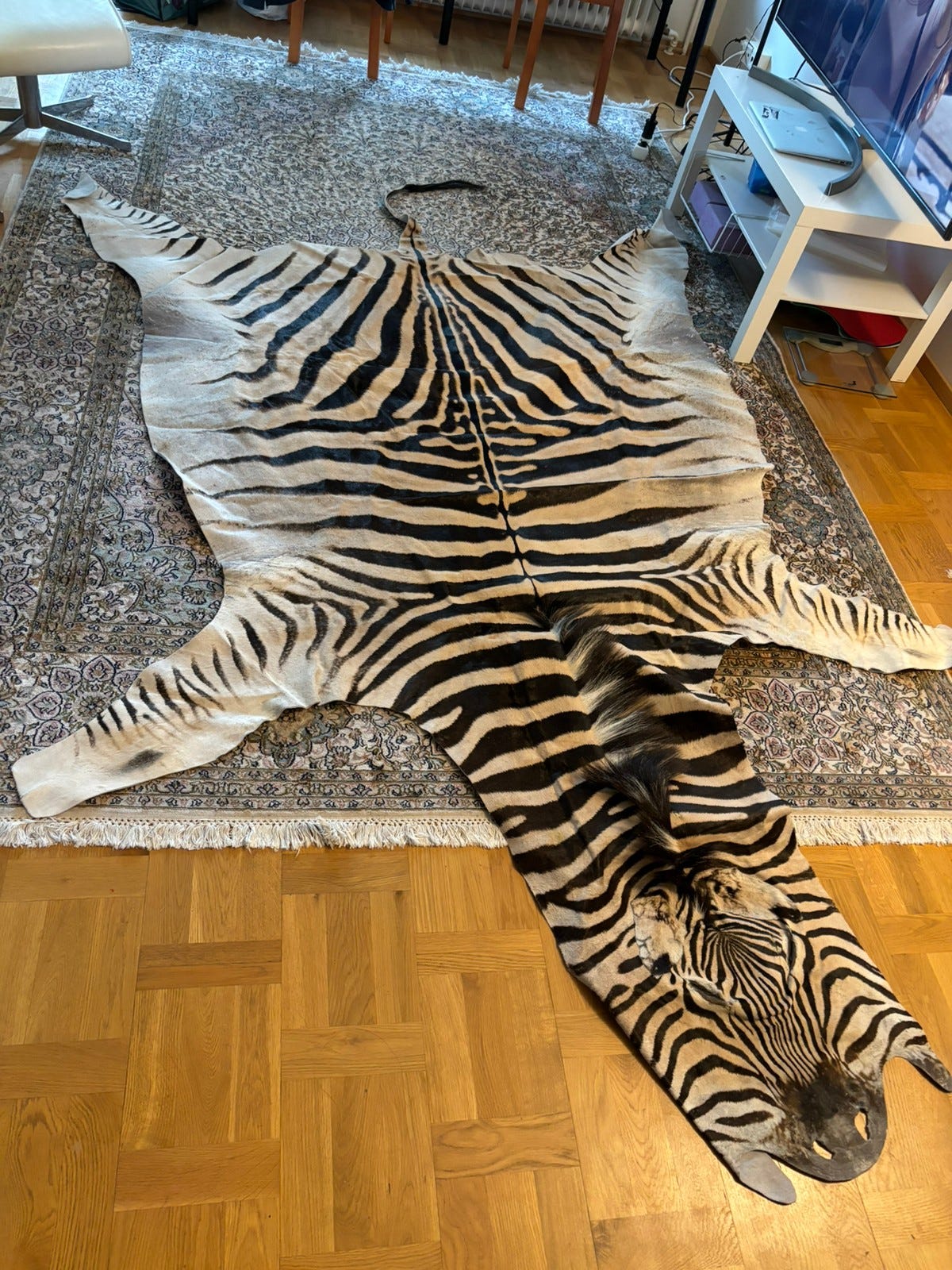 Seepranahka/talja | Tori