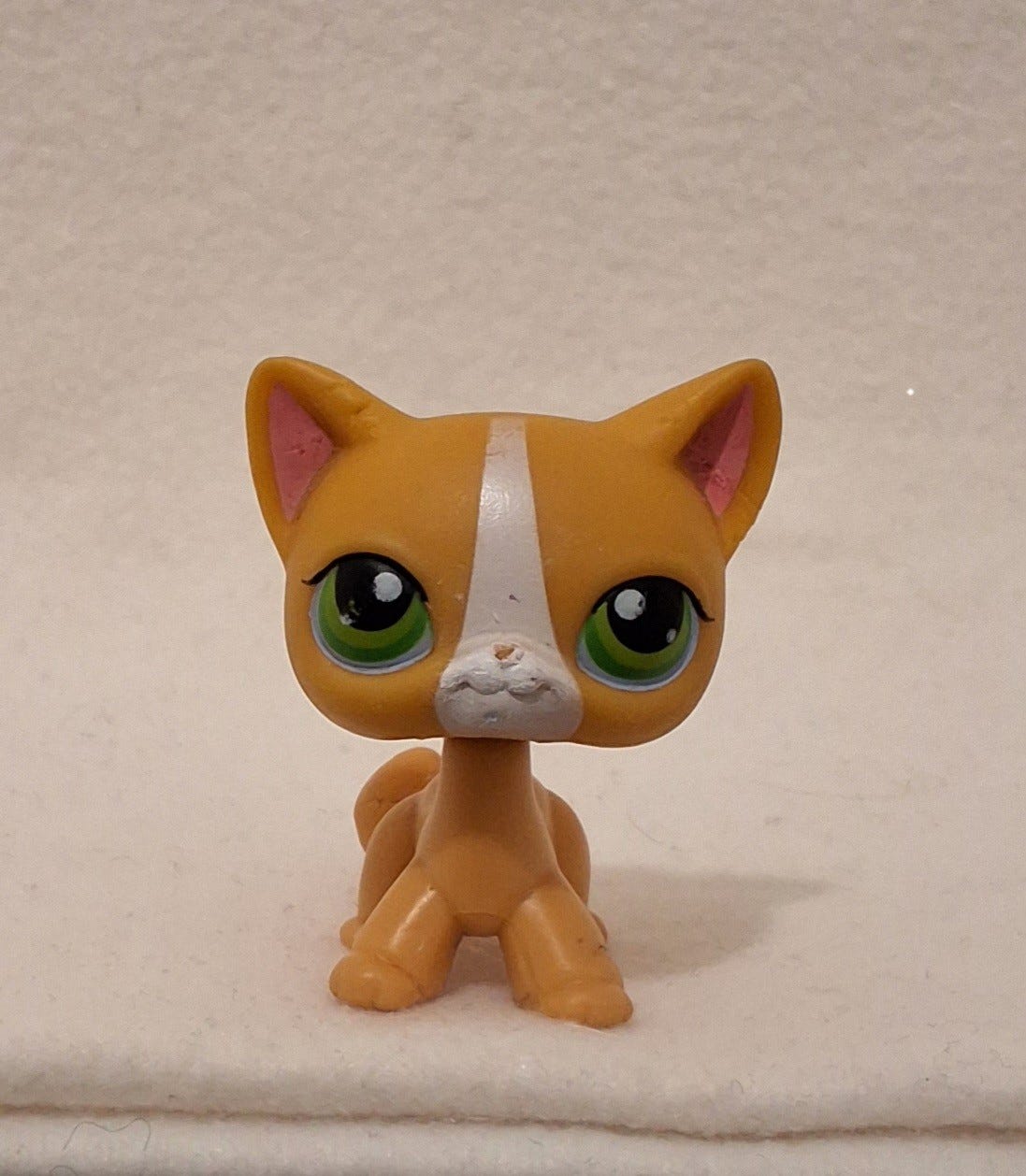 Lps seisova kissa | Tori