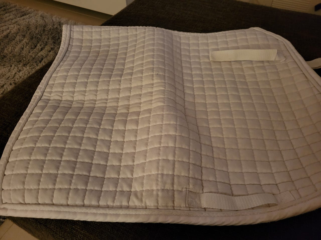 Valkoinen satulahuopa | Tori