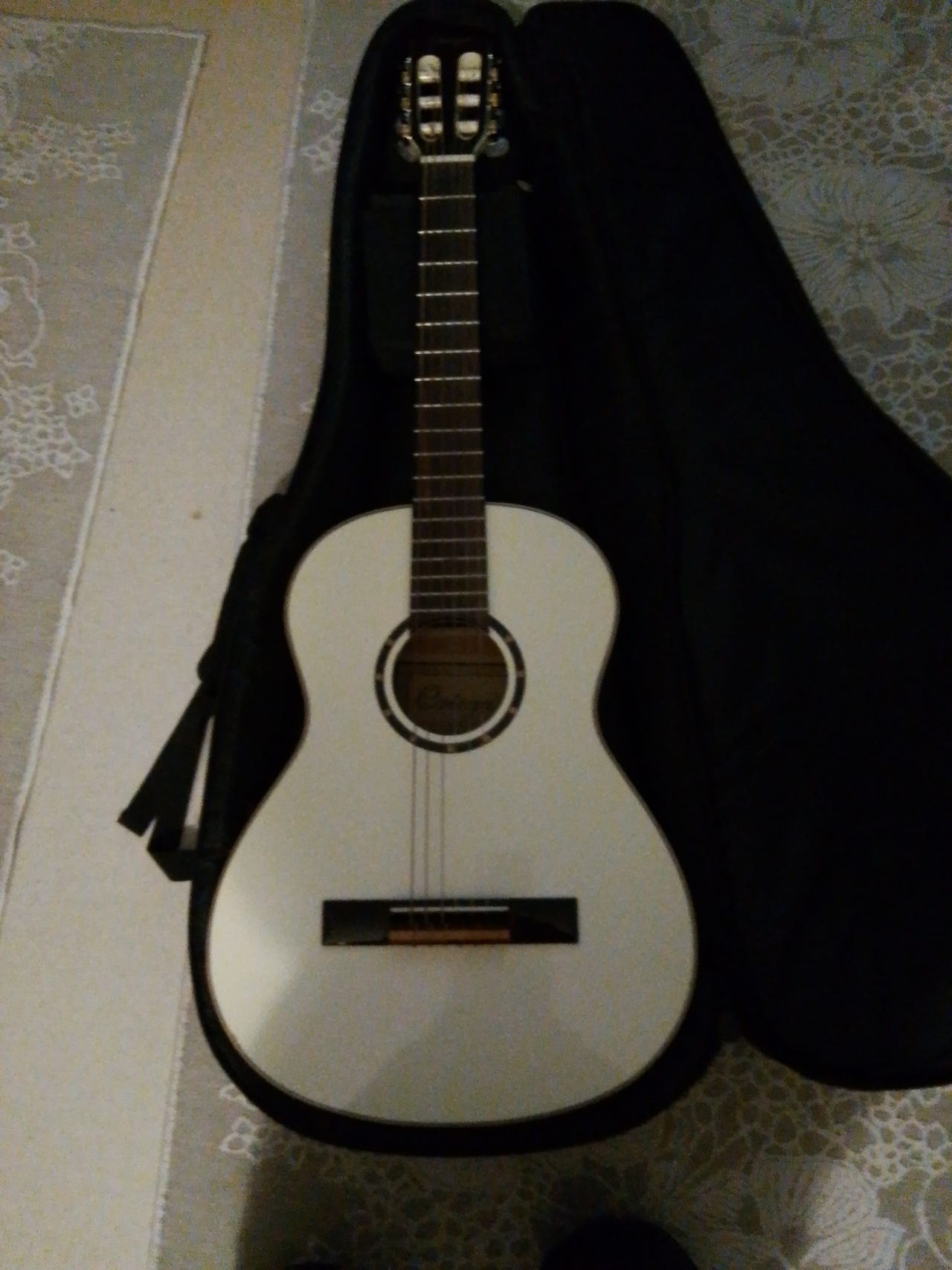 Ortega akustinen 6 kielinen kitara ja kanto kotelo. | Tori