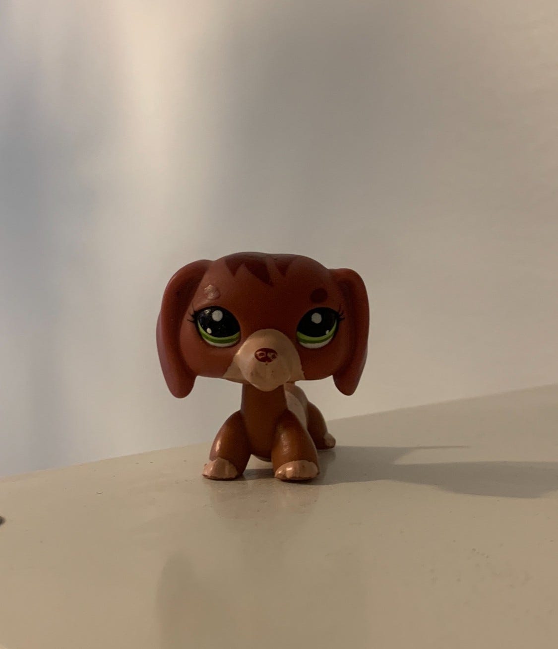 Lps mäyräkoira | Tori