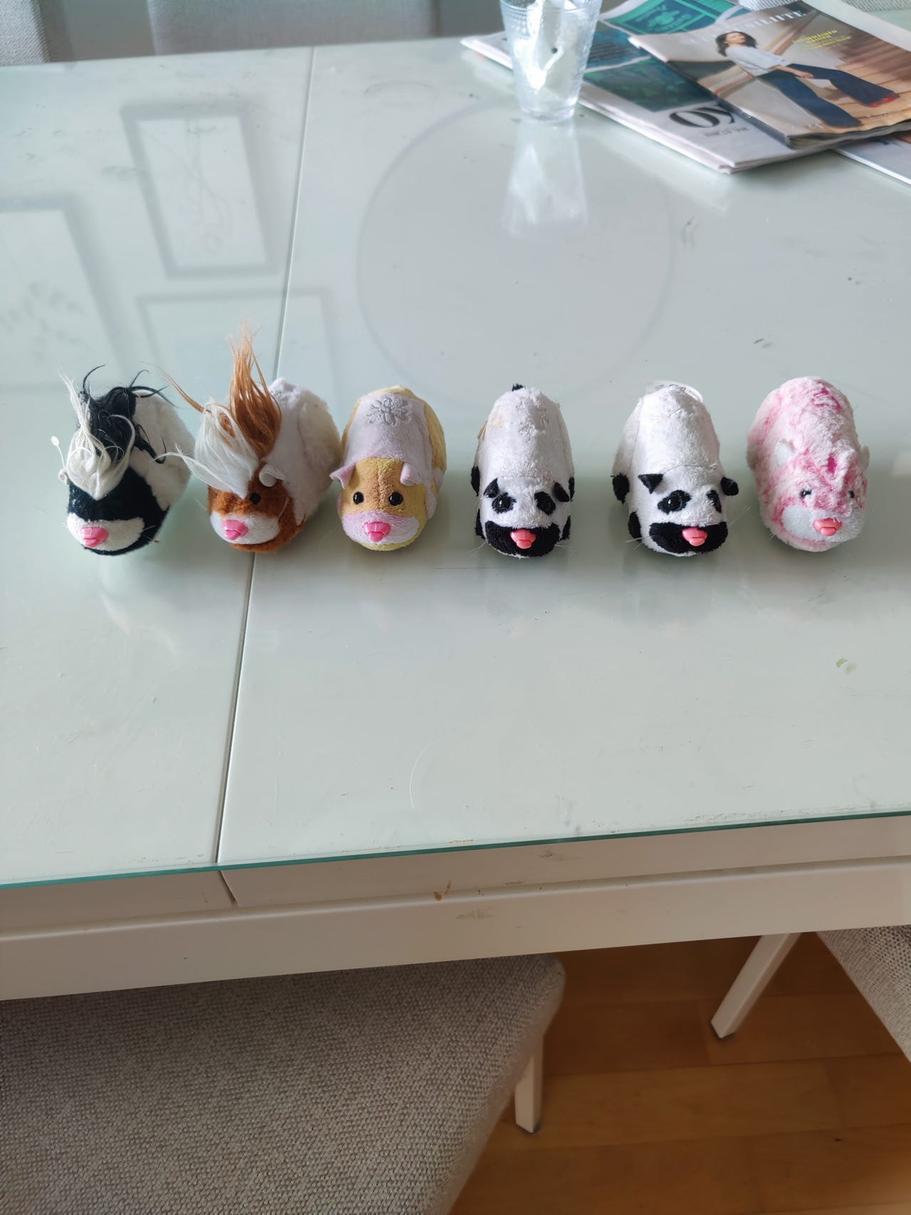 Zhu zhu petz Hamsterit 6 kpl ja kuljetuslaatikko | Tori