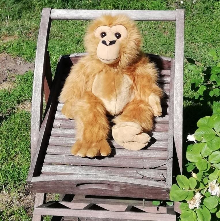 Iso apina pehmolelu | Tori