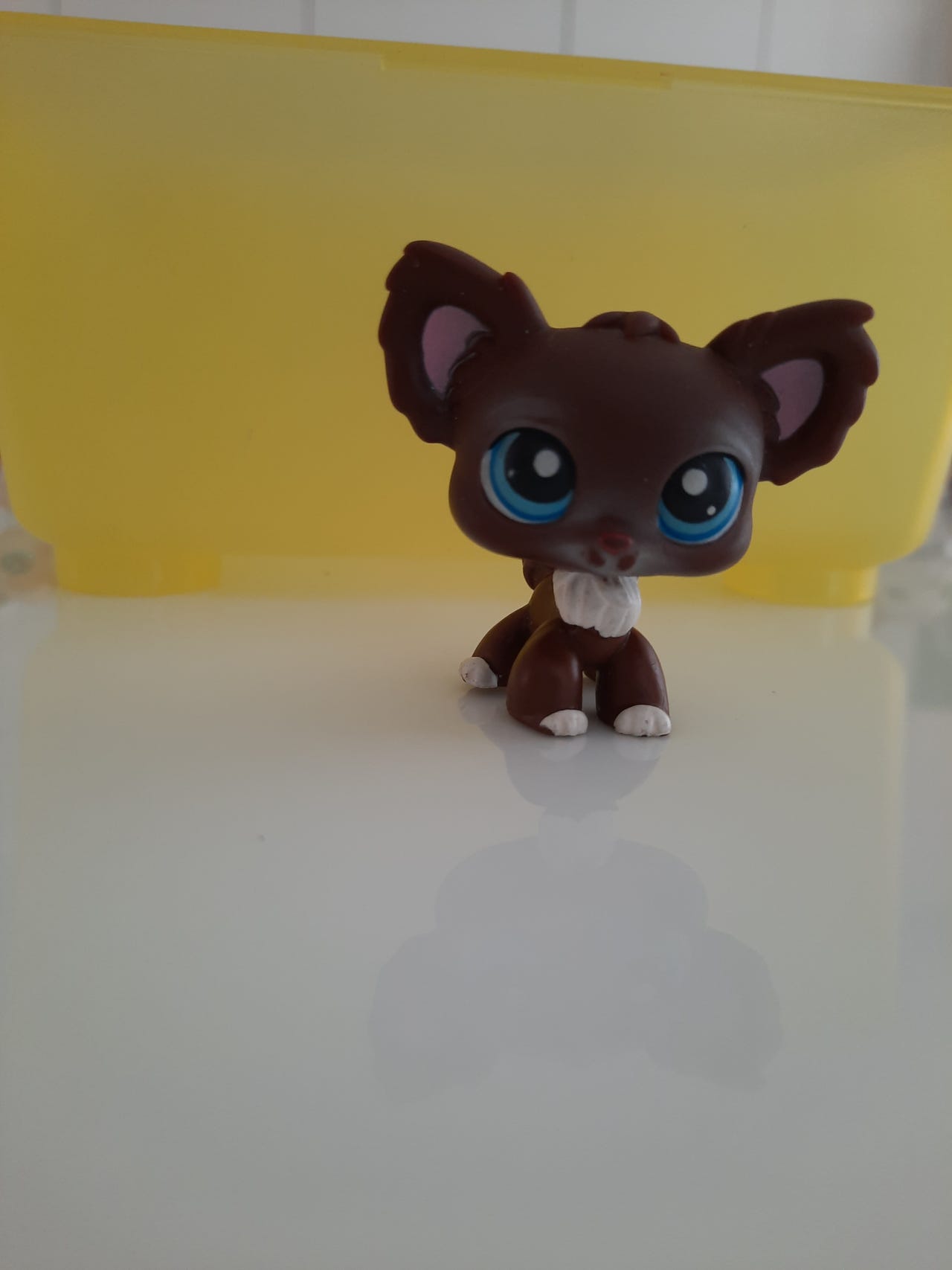 LPS chihuahua | Tori