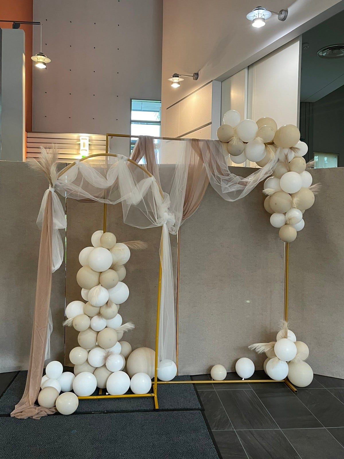 V: ilmapallo kaaret | Tori