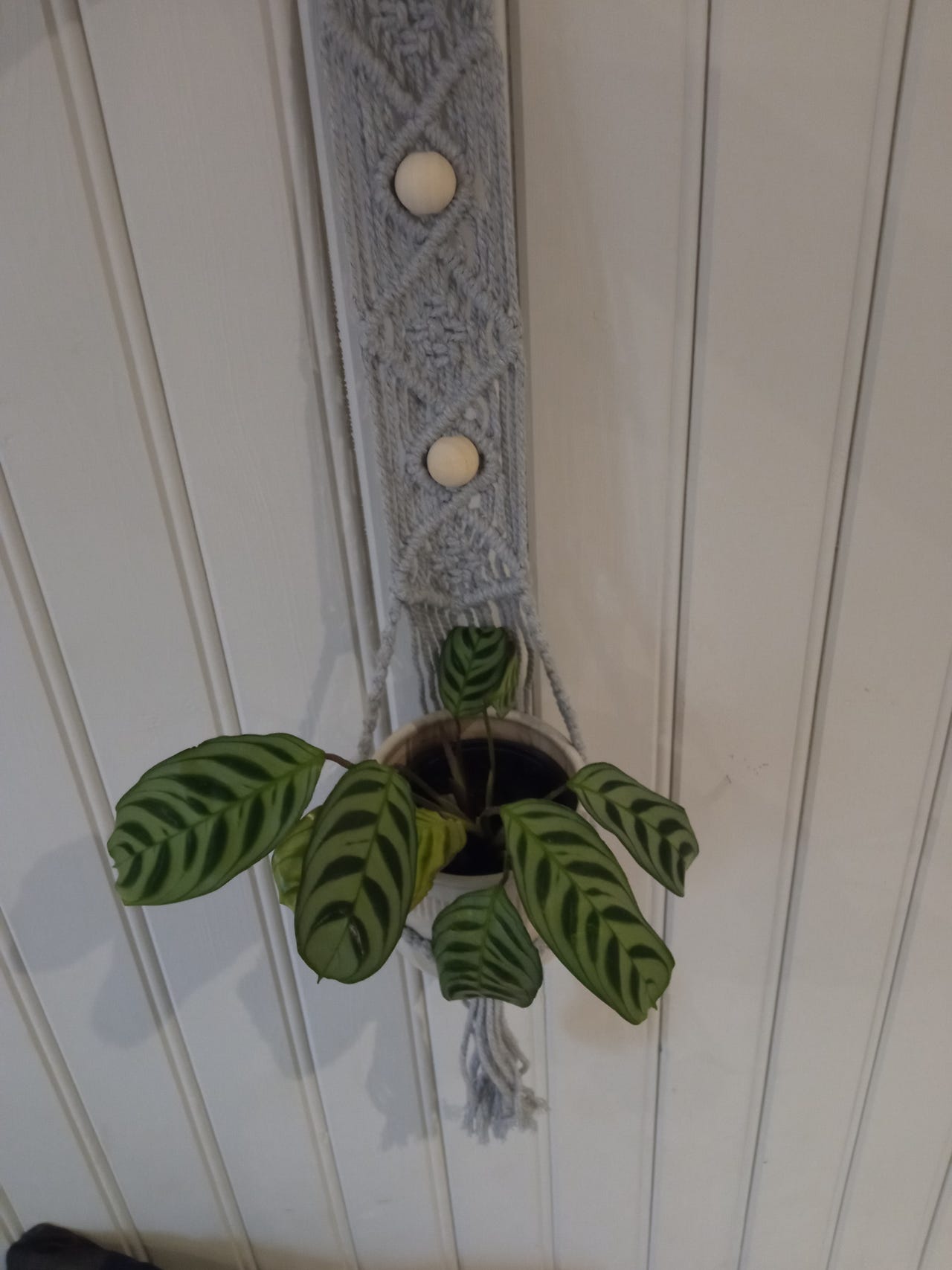 Makramee-amppeli | Tori