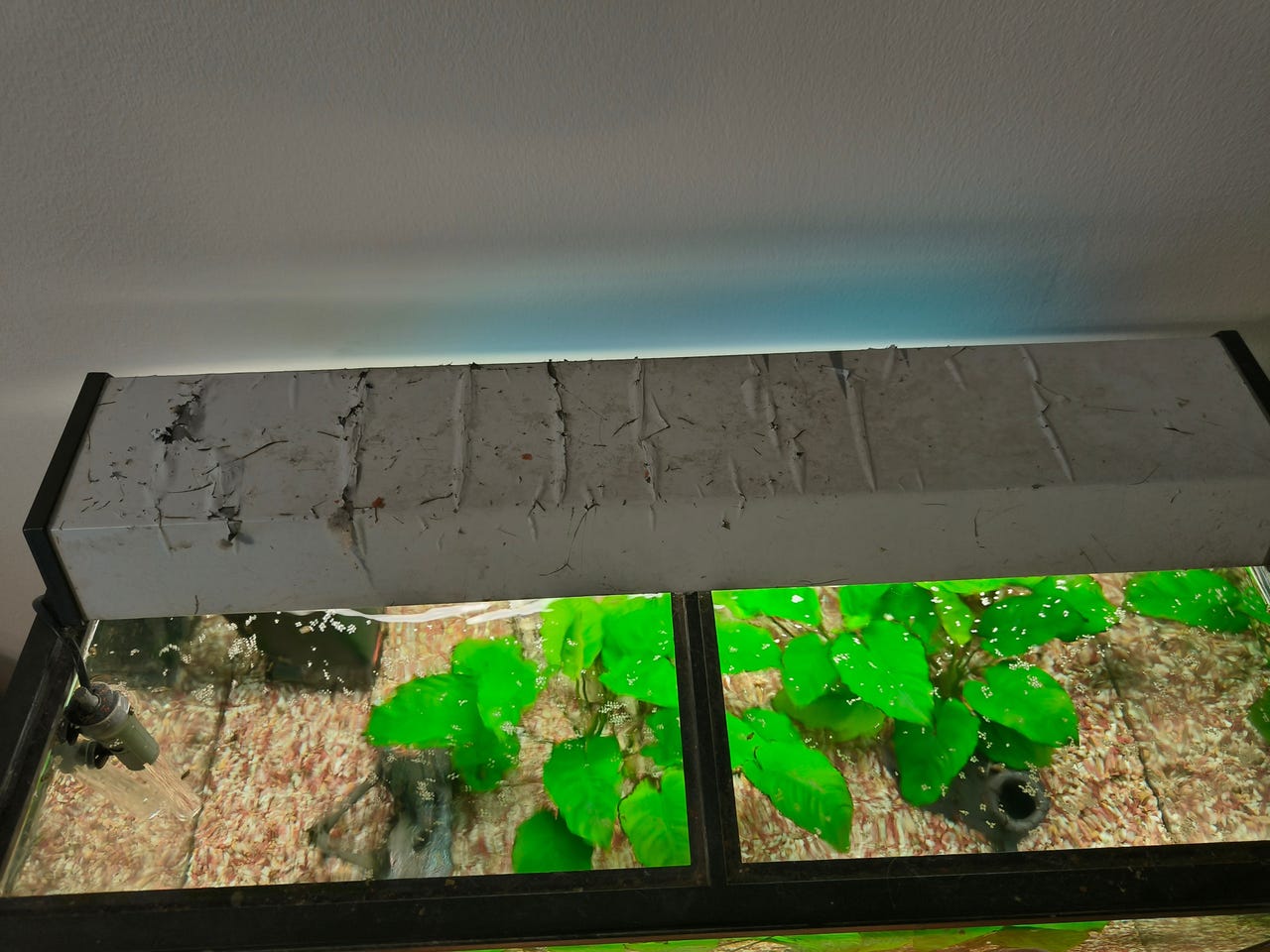 90 litran akvaario | Tori