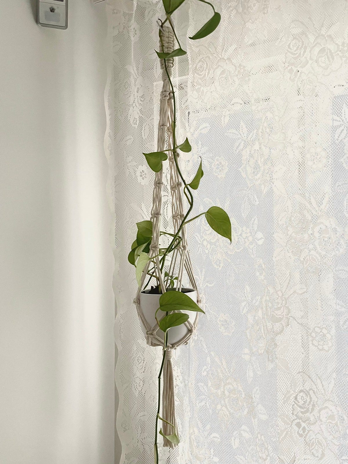 Macrame amppeli | Tori