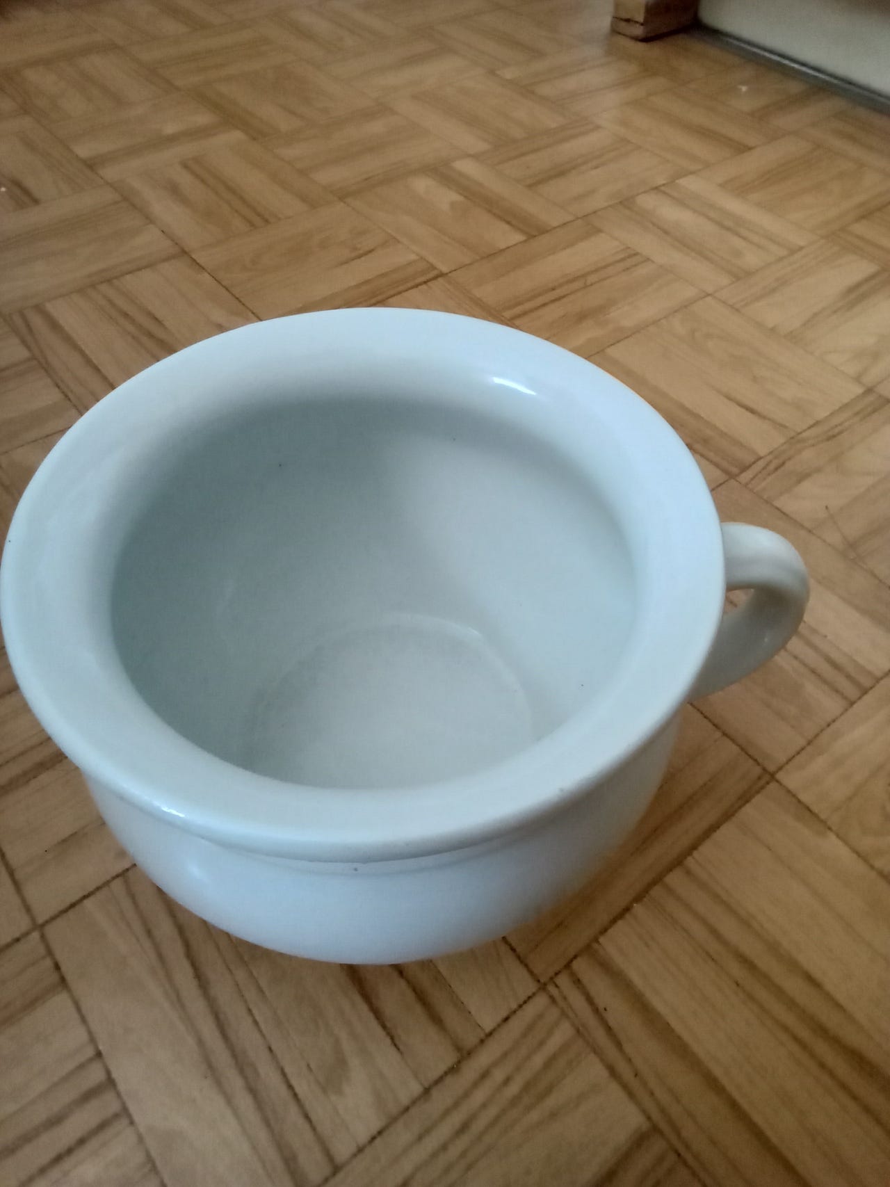 Arabian potta | Tori