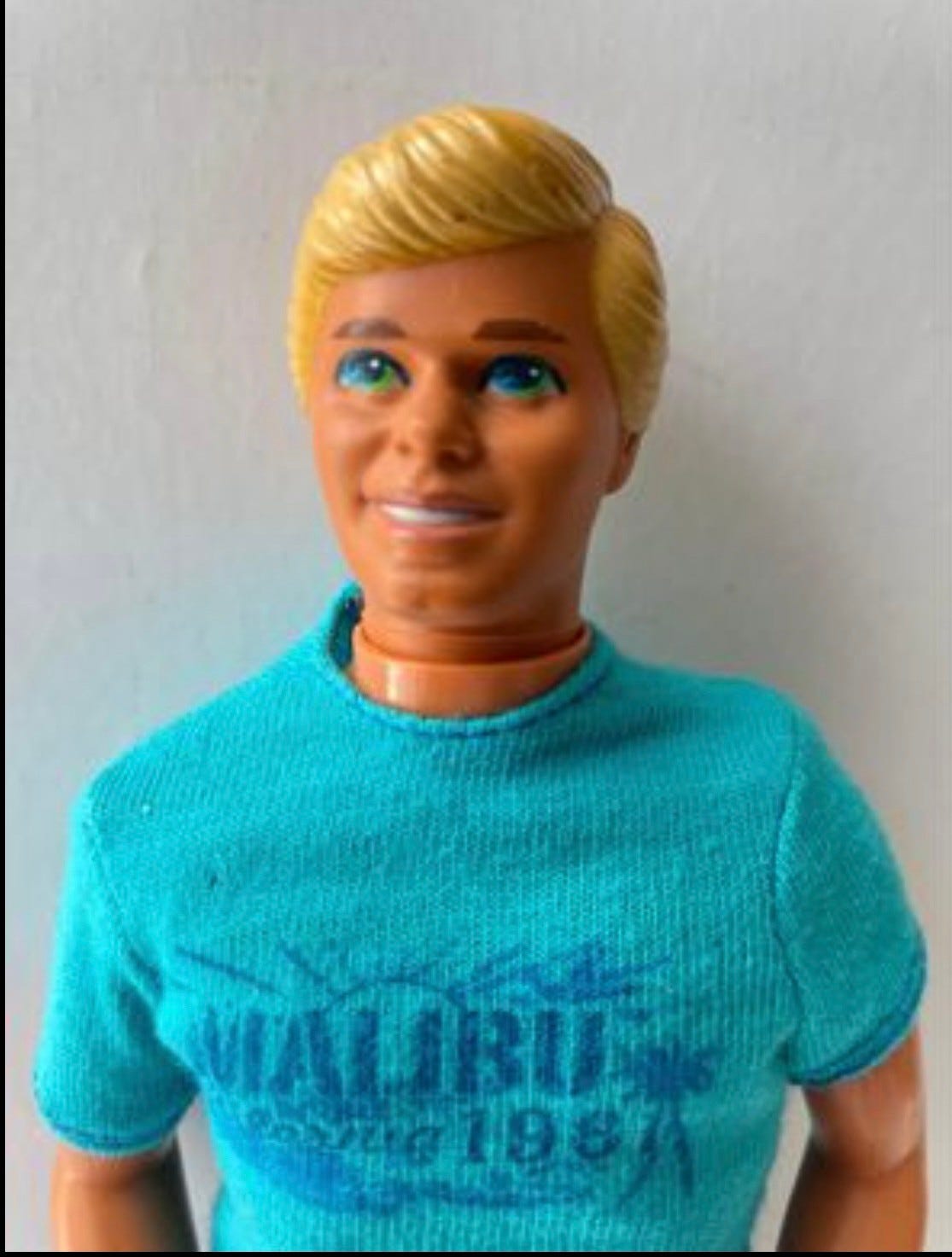 Barbie Ken nukke Malibu | Tori