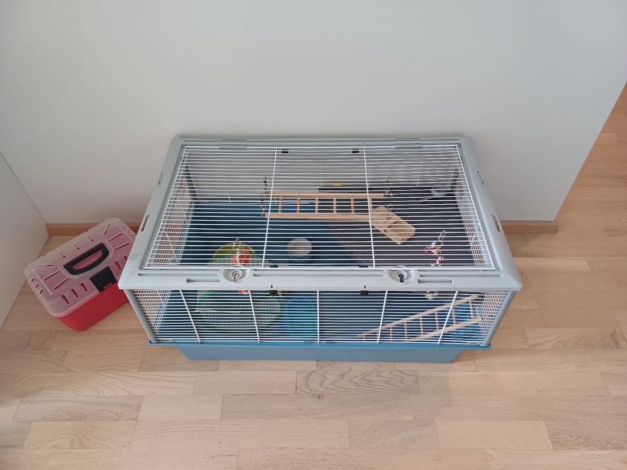 Hamsterinhäkki ja tarvikkeita | Tori