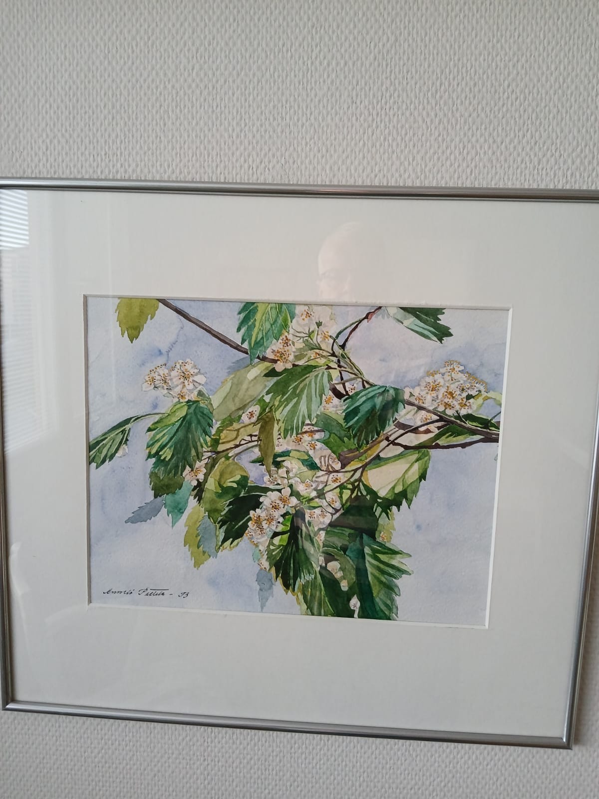 Taulu 2 kpl 25 e/kpl | Tori