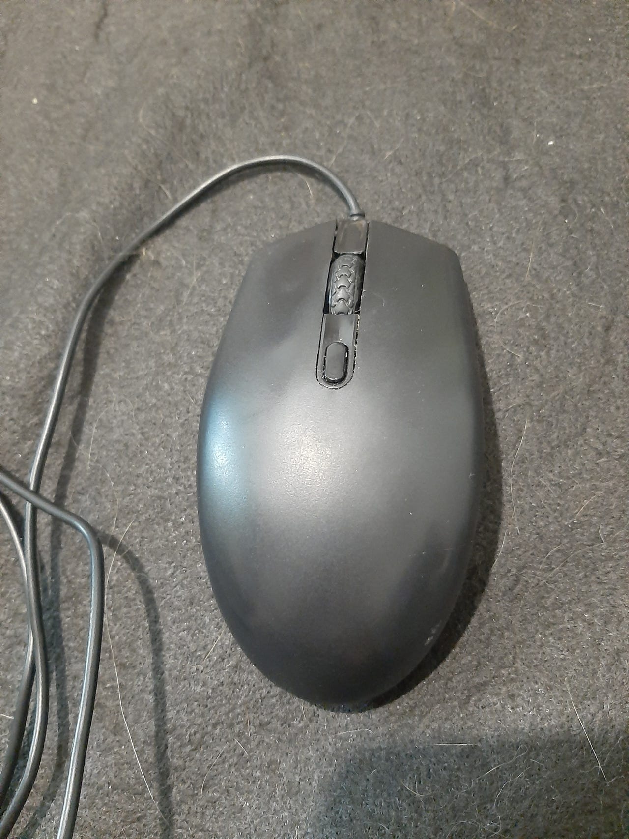 Electra-hiiri | Tori