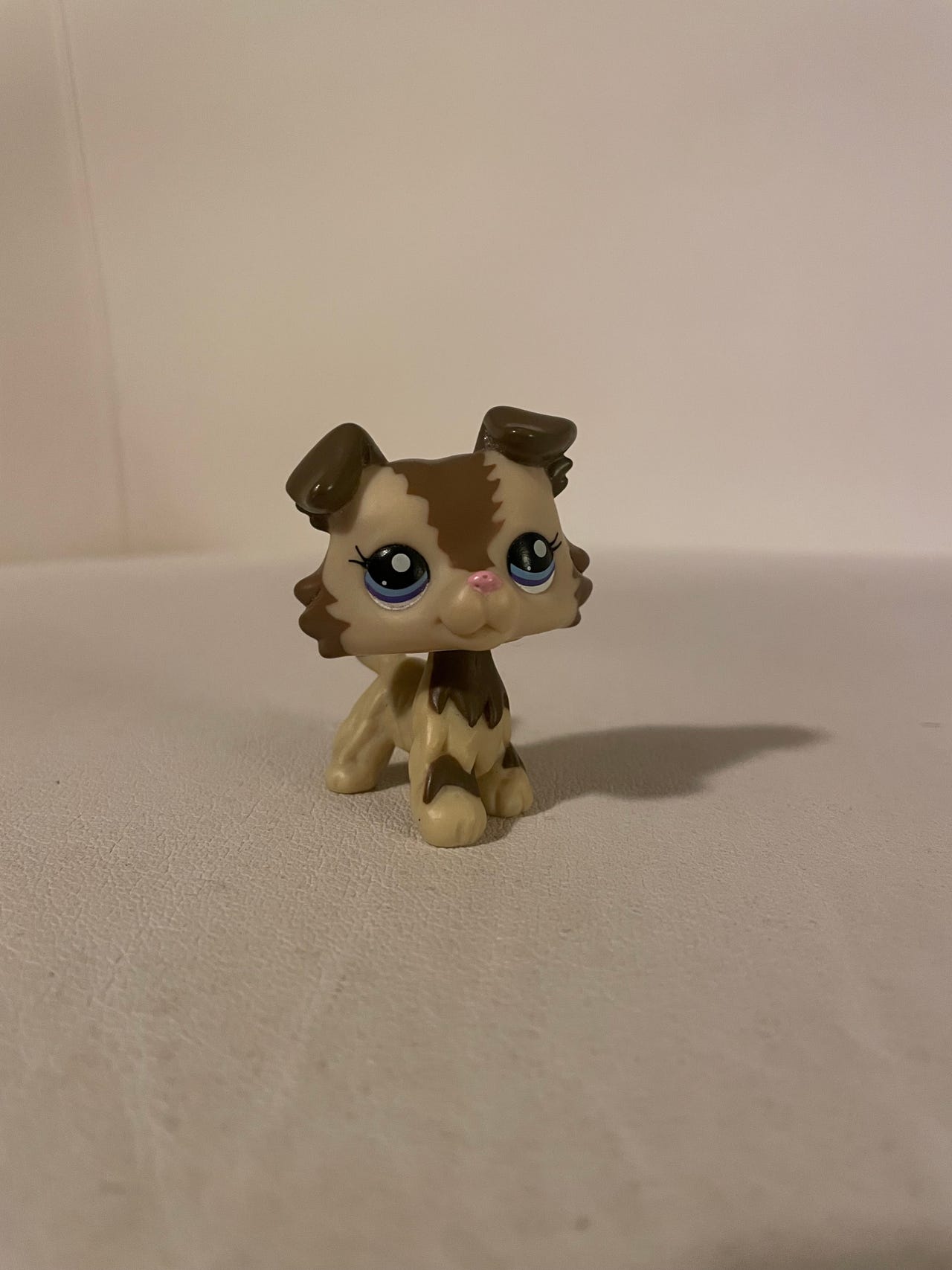 Lps seisova koira | Tori