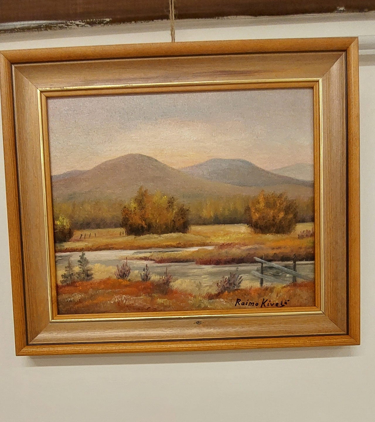 Raimo Kivelä | Tori