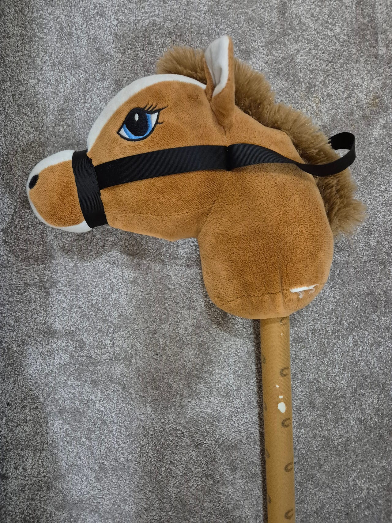 Keppari äänellä | Tori