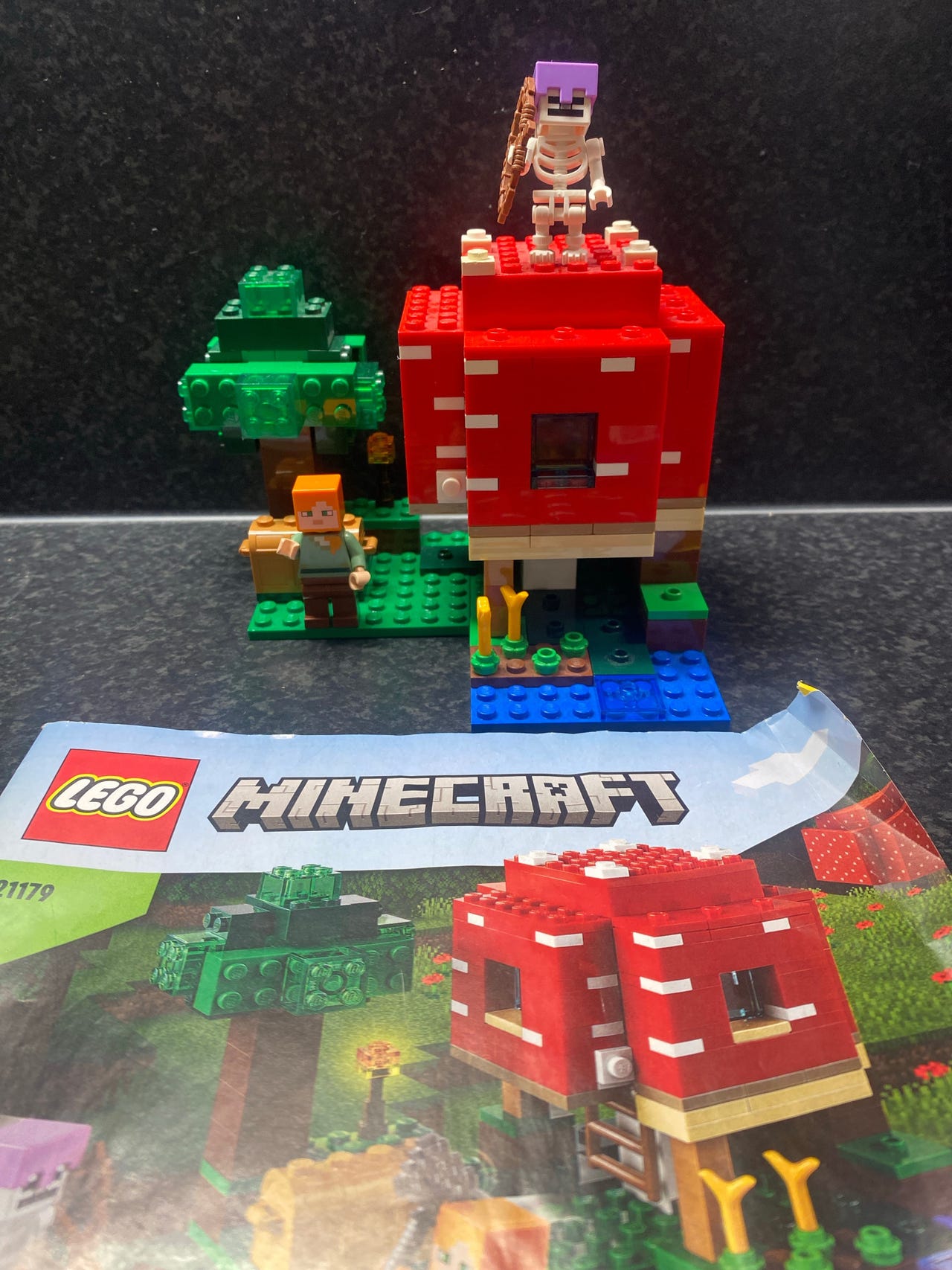 Lego minecraft 21179 | Tori