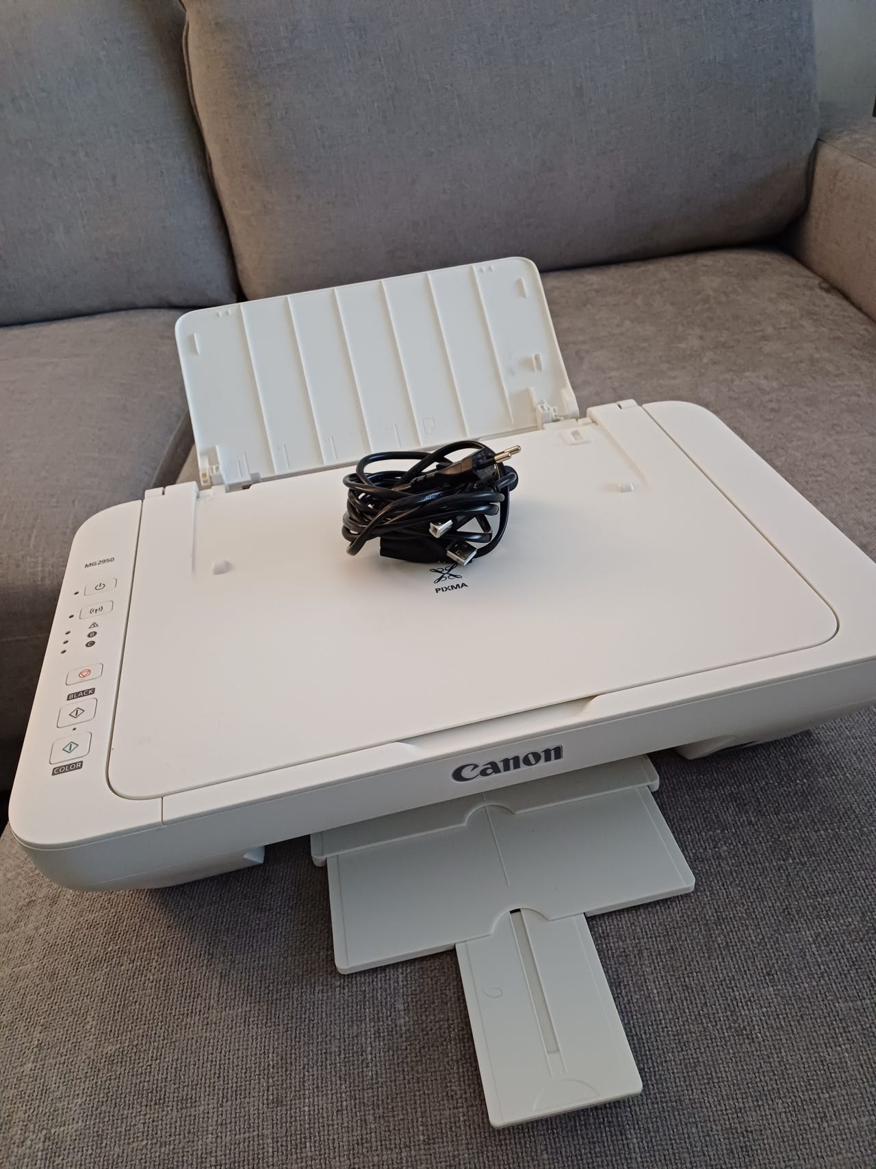 Canon MG2950 printteri/skanneri | Tori