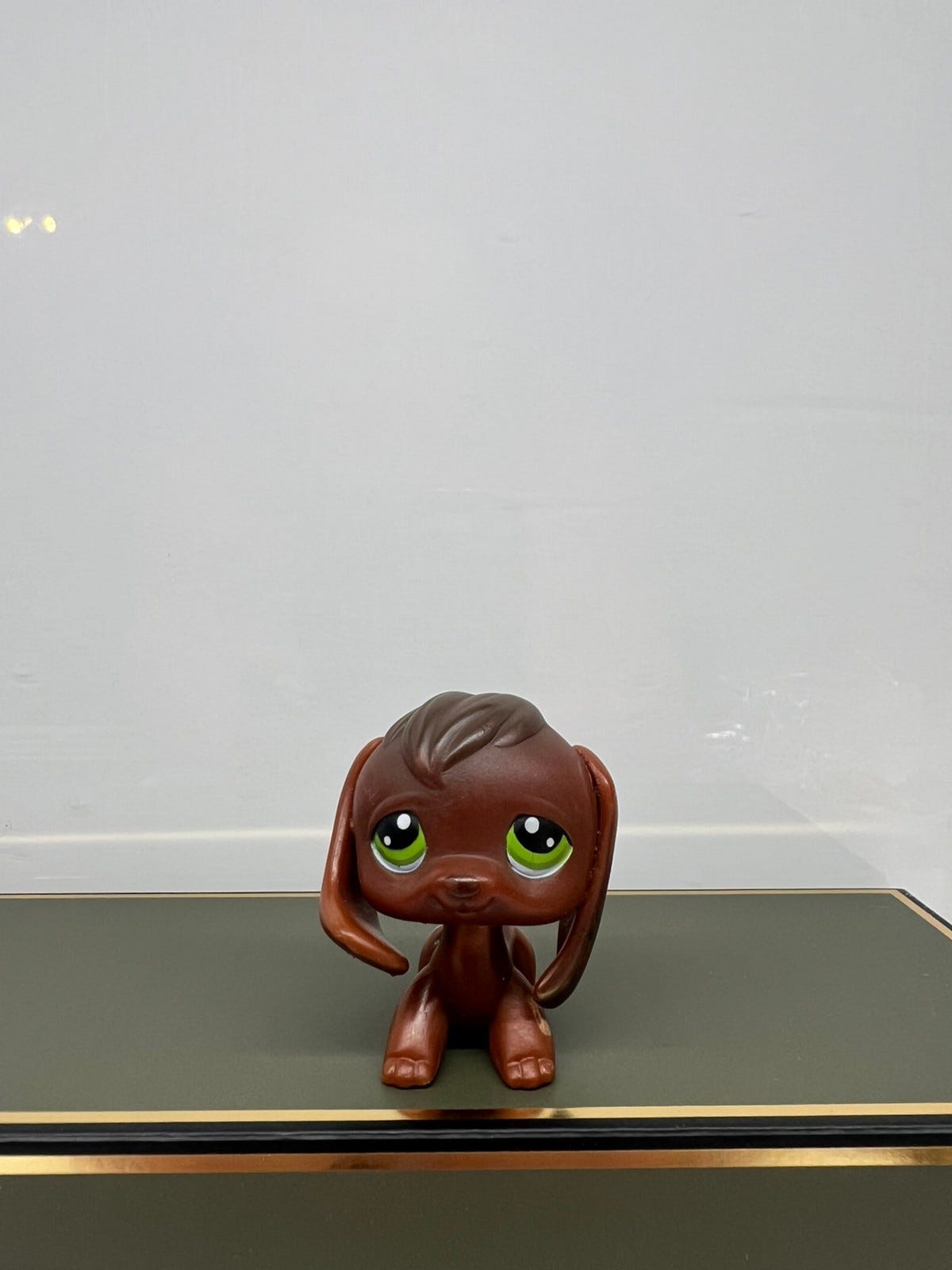 LPS AITO, Beagle TARJOA | Tori