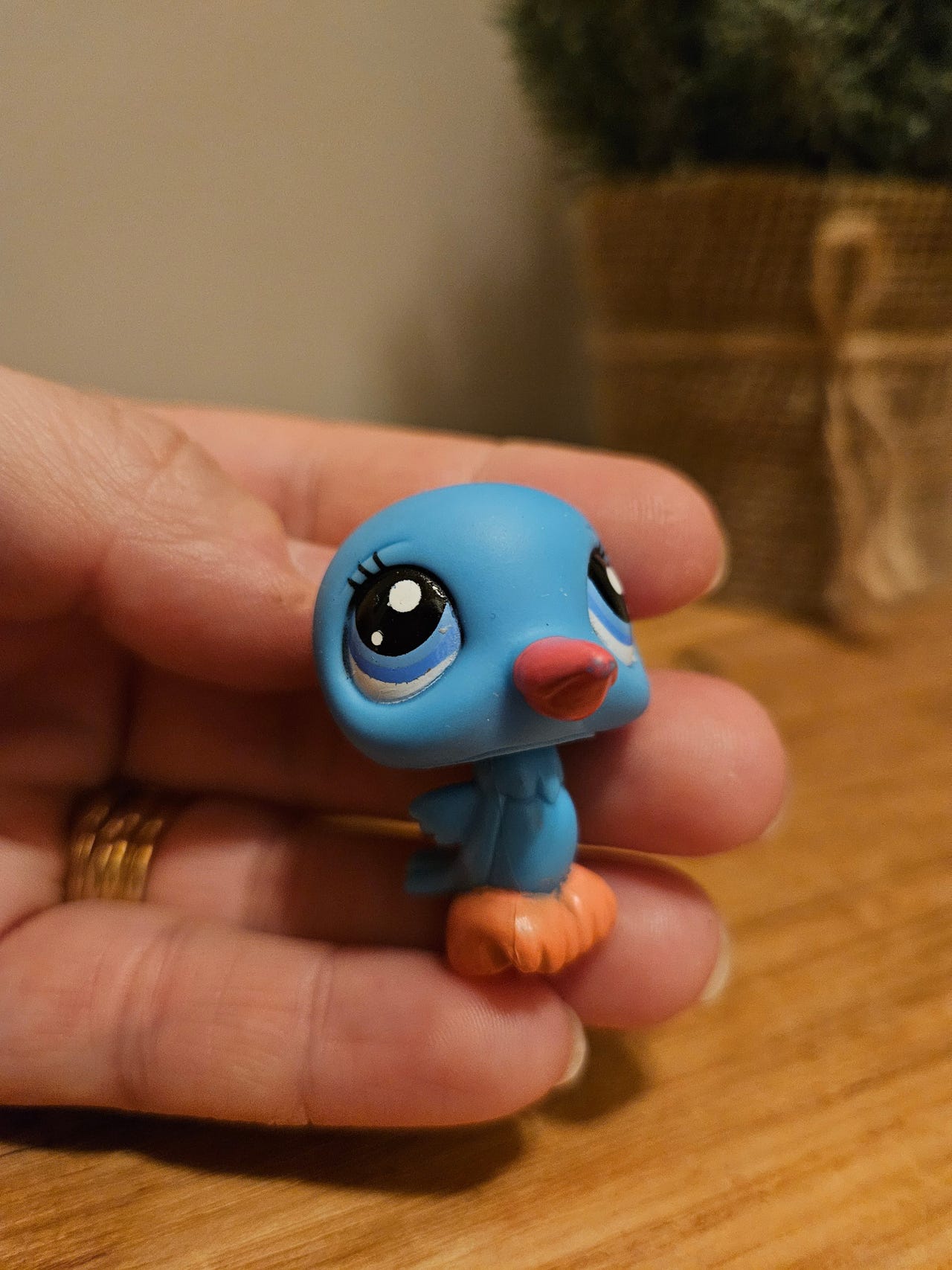 LPS kolibri | Tori