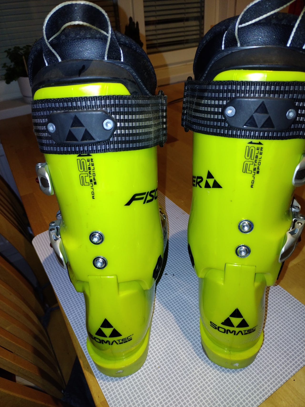 Fischer RC4 laskettelumonot | Tori