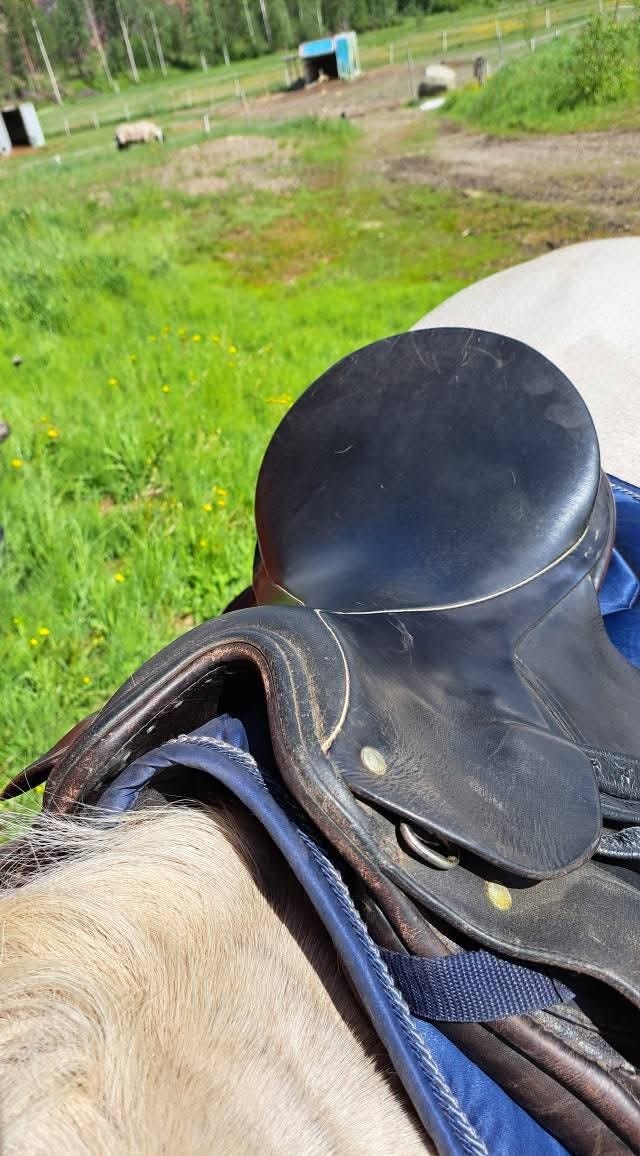 Passier 17,5" | Tori