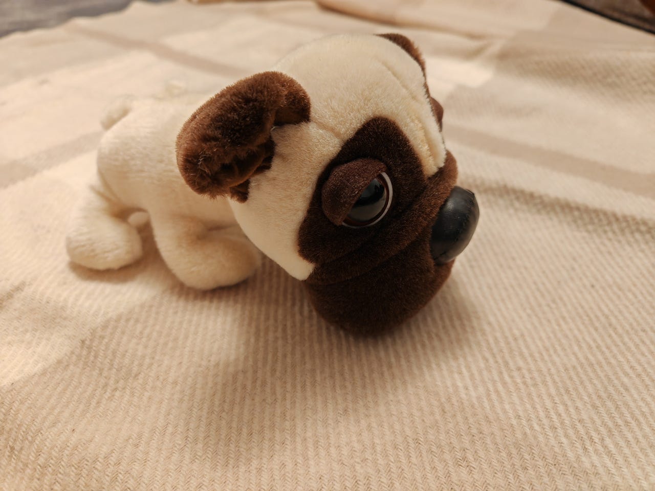 Koira pehmolelu | Tori