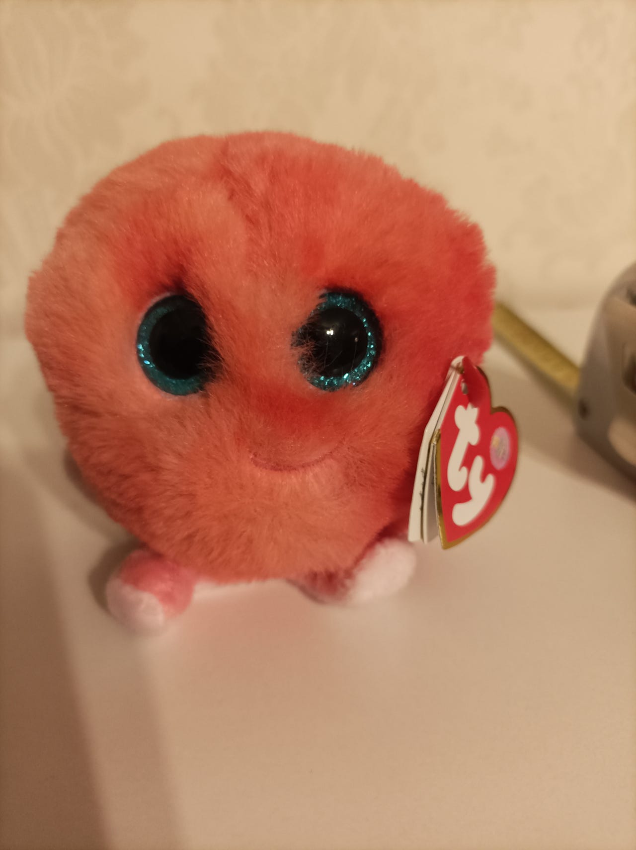 Ty Sheldon mustekala 2021 | Tori